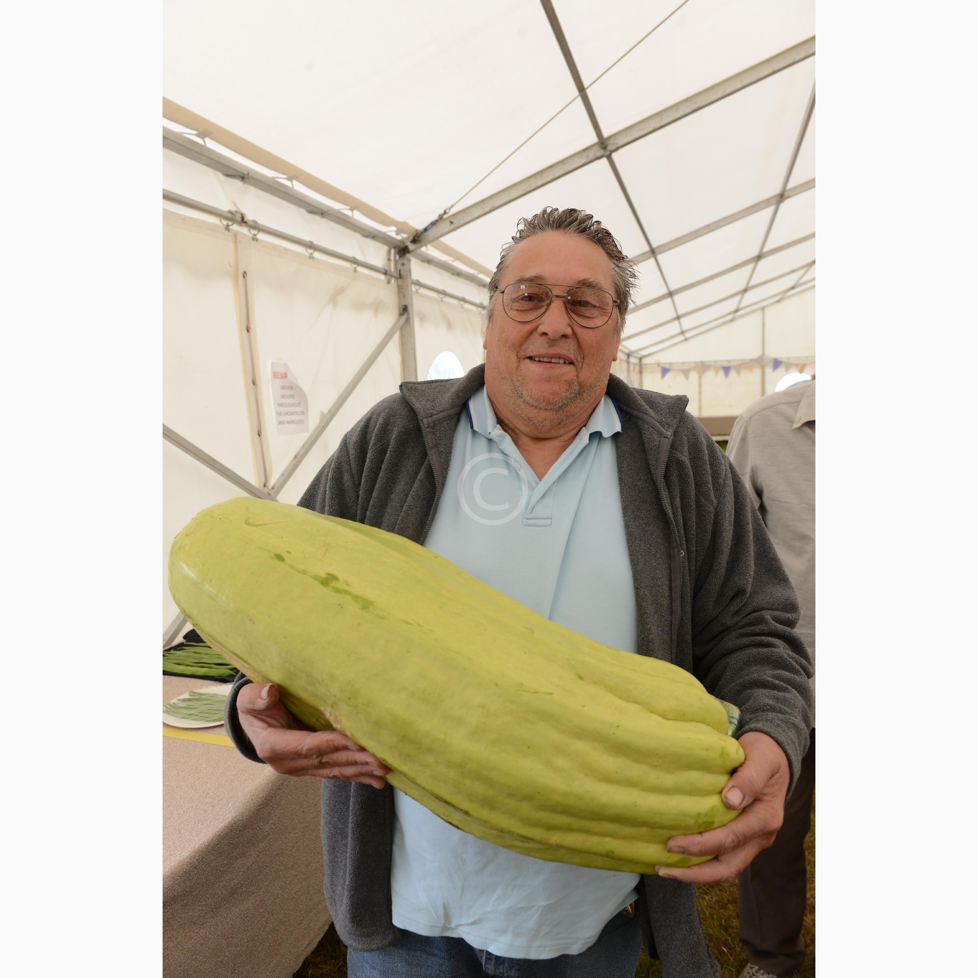 KNOWL HILL 126418 - Photo 1 of 77 - Baylis Media Photos