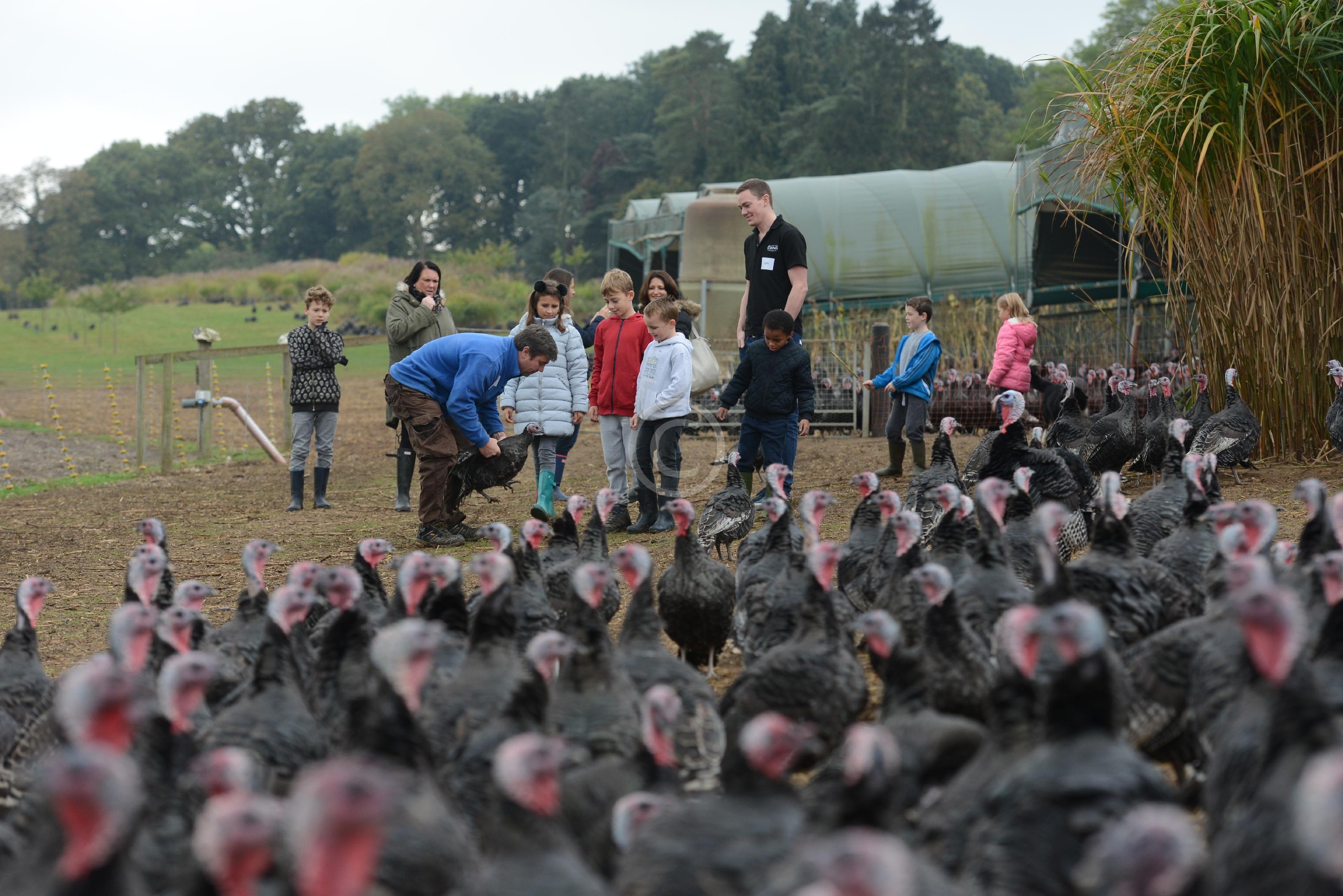 COOKHAM 126896 - Photo 1 of 32 - Baylis Media Photos