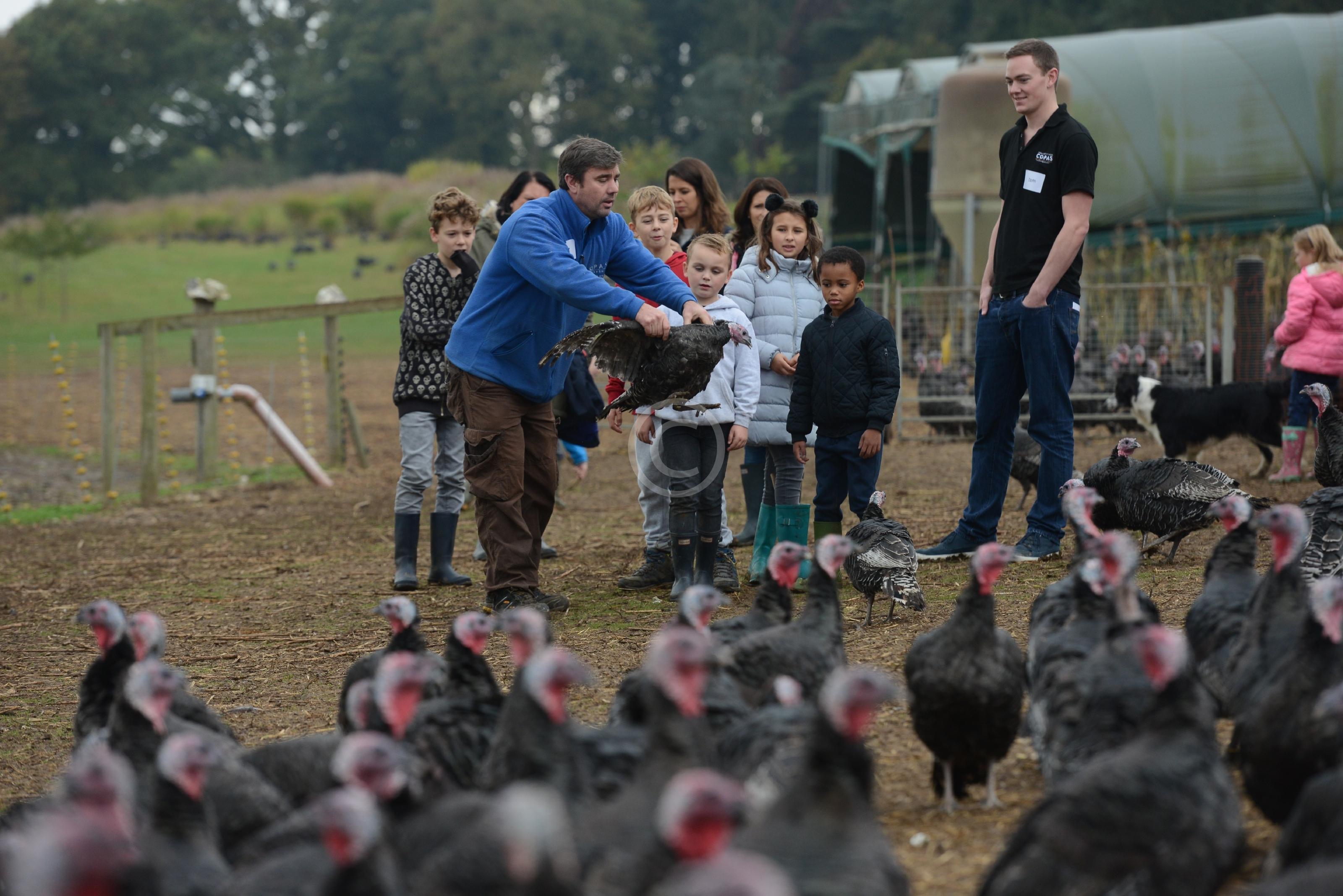 COOKHAM 126896 - Photo 1 of 32 - Baylis Media Photos