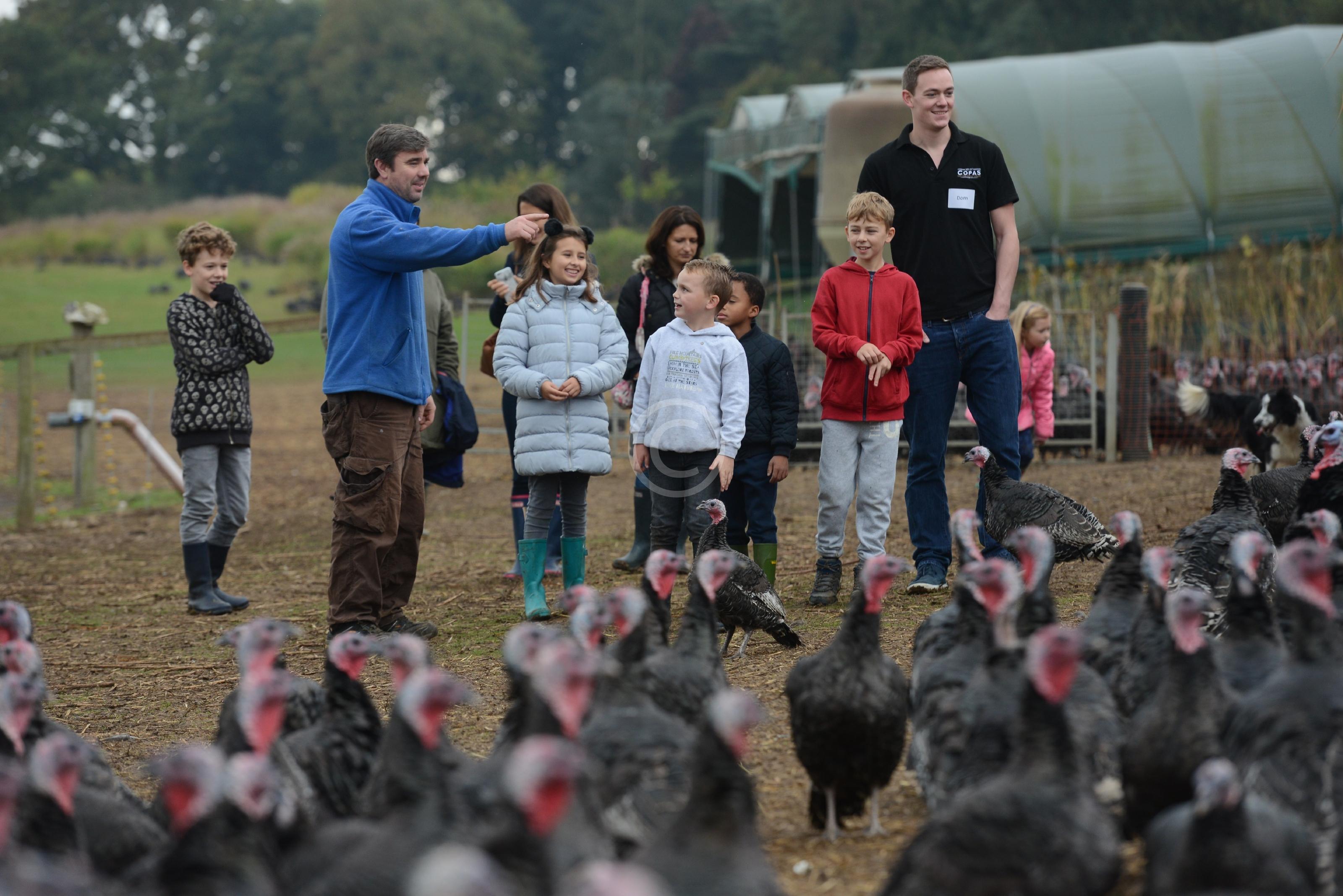 COOKHAM 126896 - Photo 1 of 32 - Baylis Media Photos