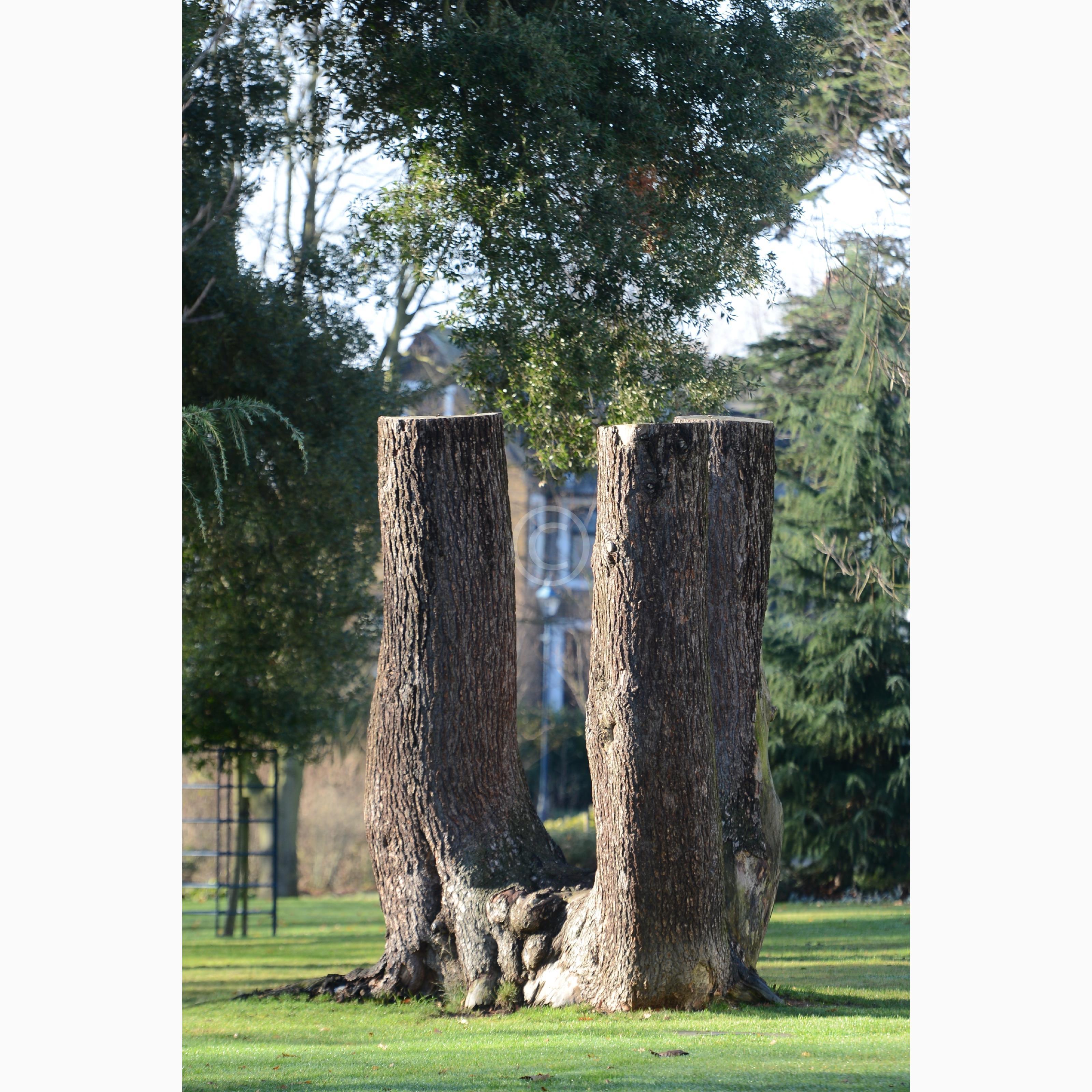 SLOUGH 127249 - Photo 1 of 4 - Baylis Media Photos