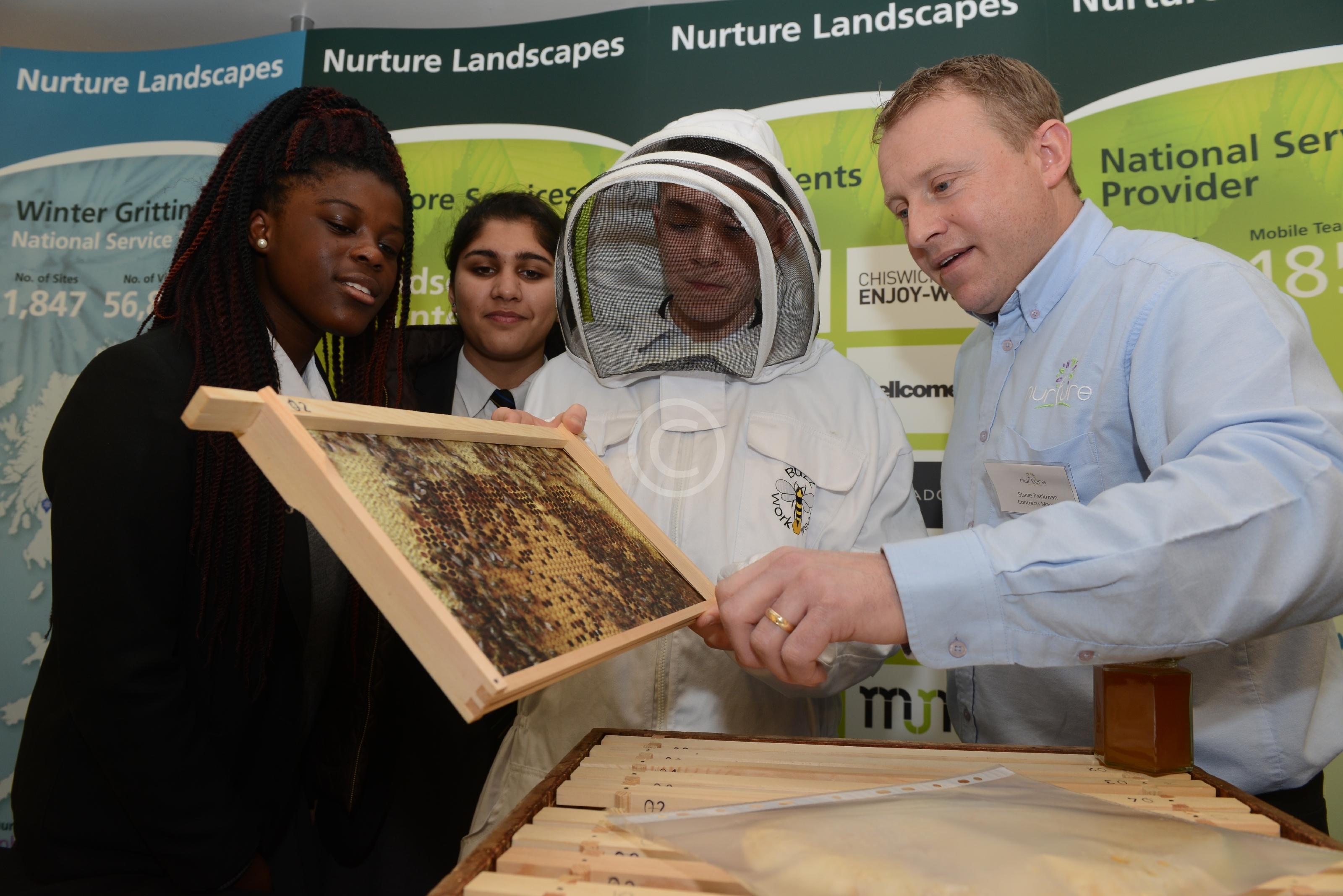 WINDSOR 127427 - Photo 1 of 19 - Baylis Media Photos