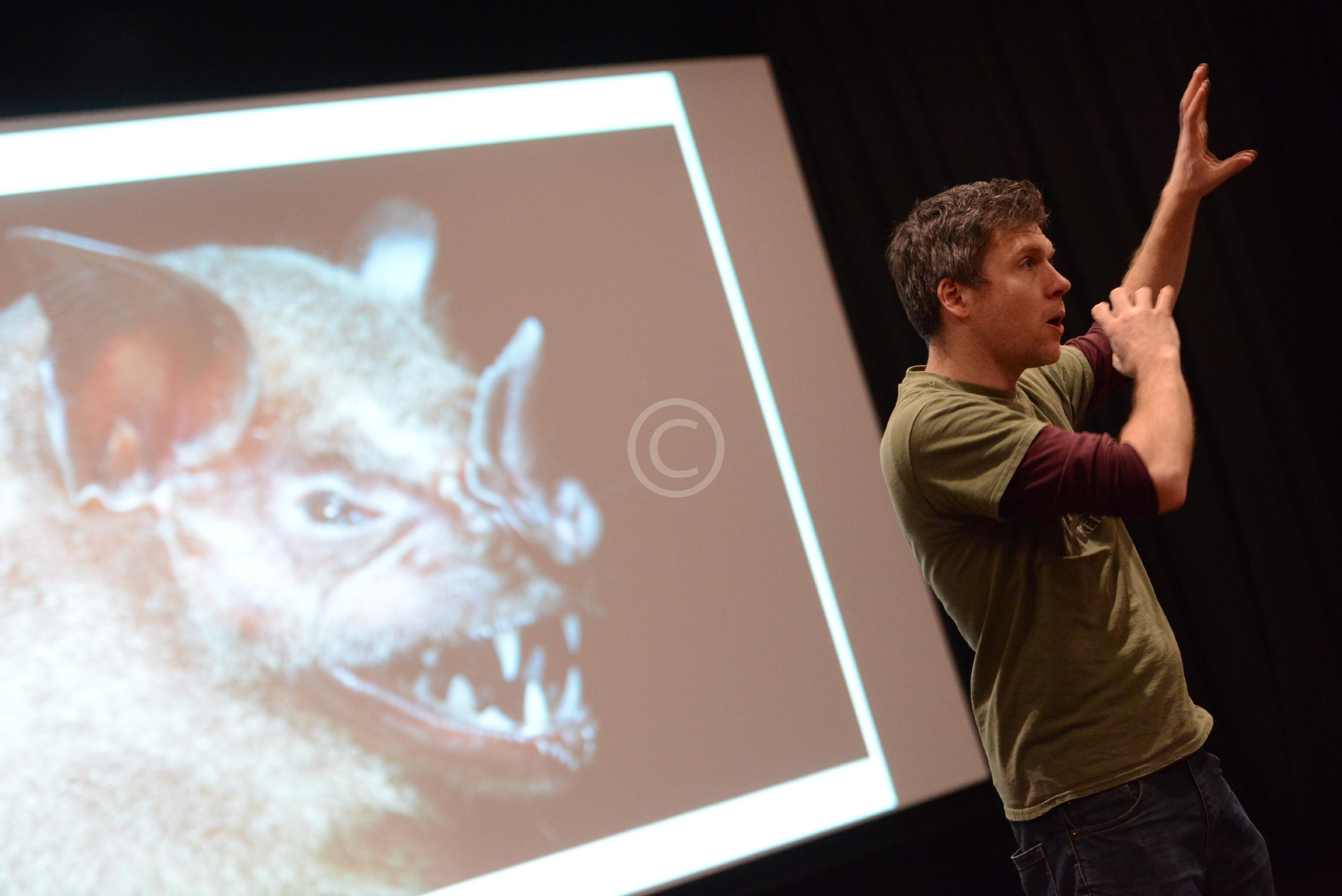 SLOUGH 127625 - Photo 1 of 8 - Baylis Media Photos