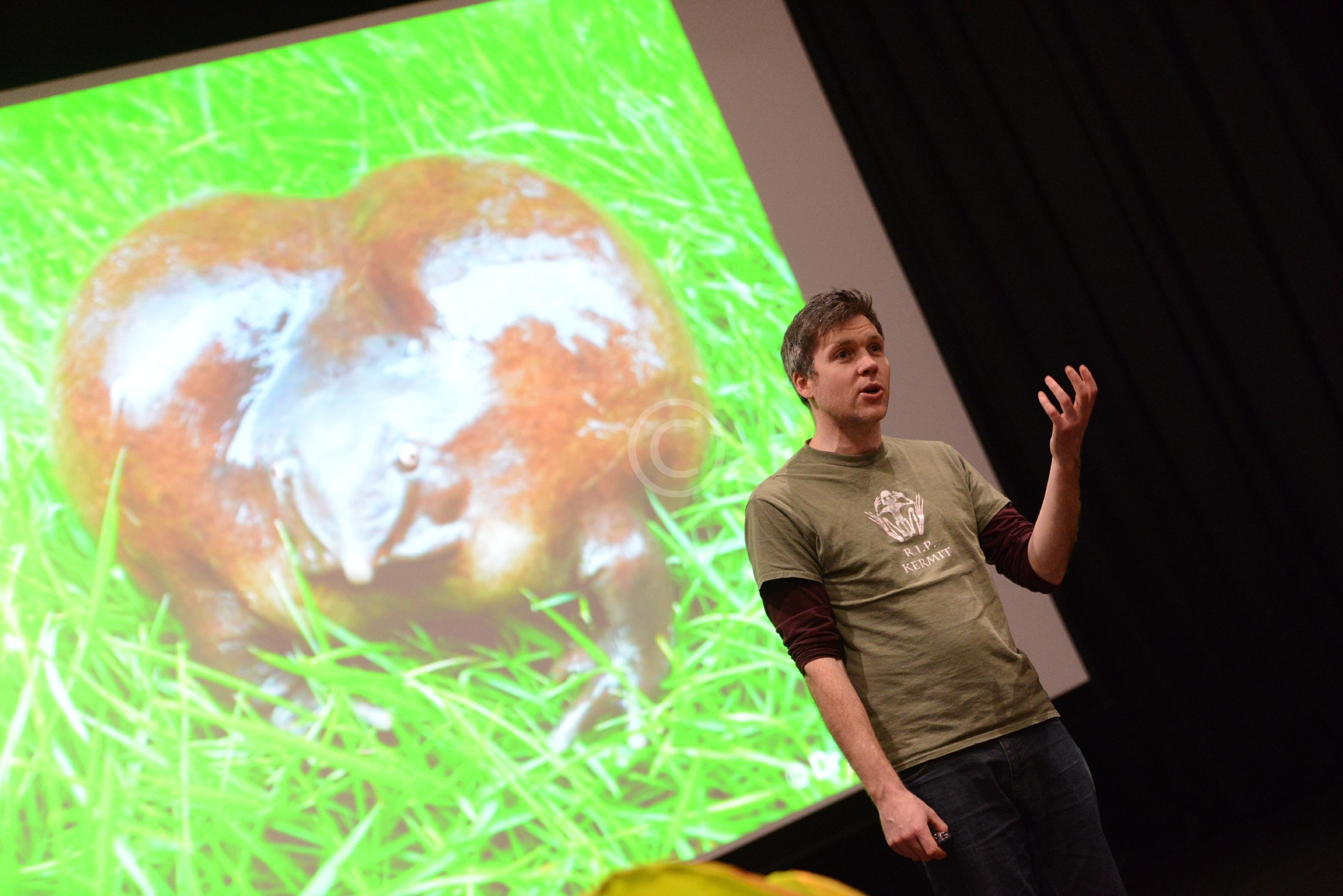 SLOUGH 127625 - Photo 1 of 8 - Baylis Media Photos