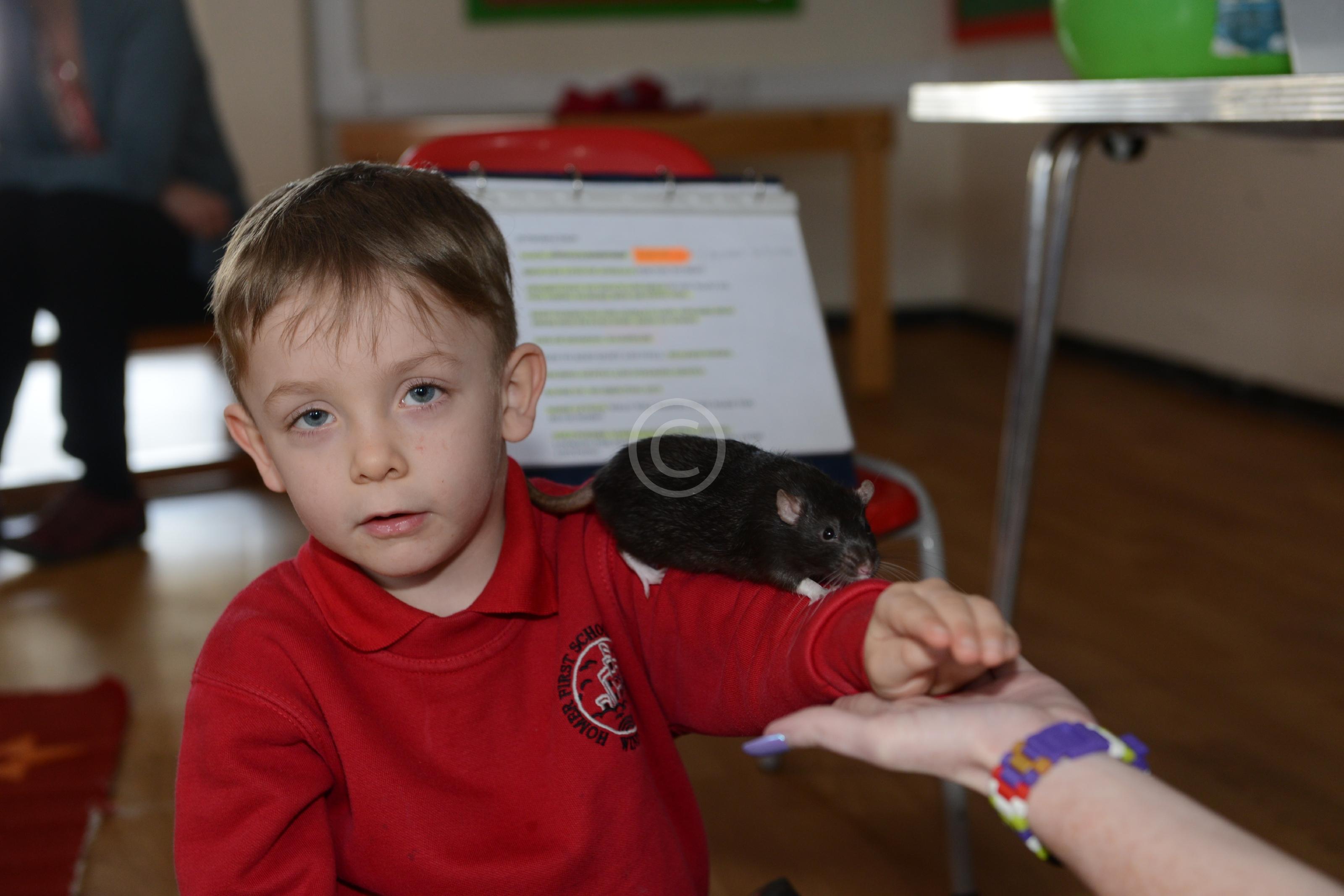 DEDWORTH 127766 - Photo 1 of 35 - Baylis Media Photos