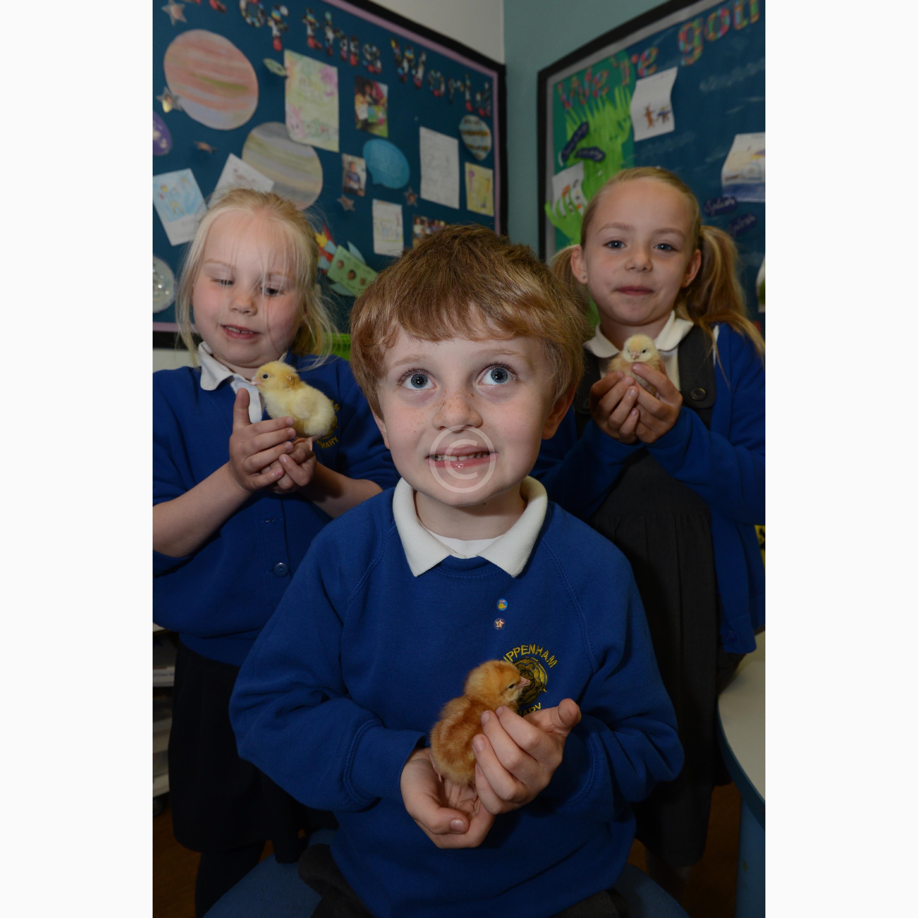 CIPPENHAM 128011 - Photo 1 of 8 - Baylis Media Photos