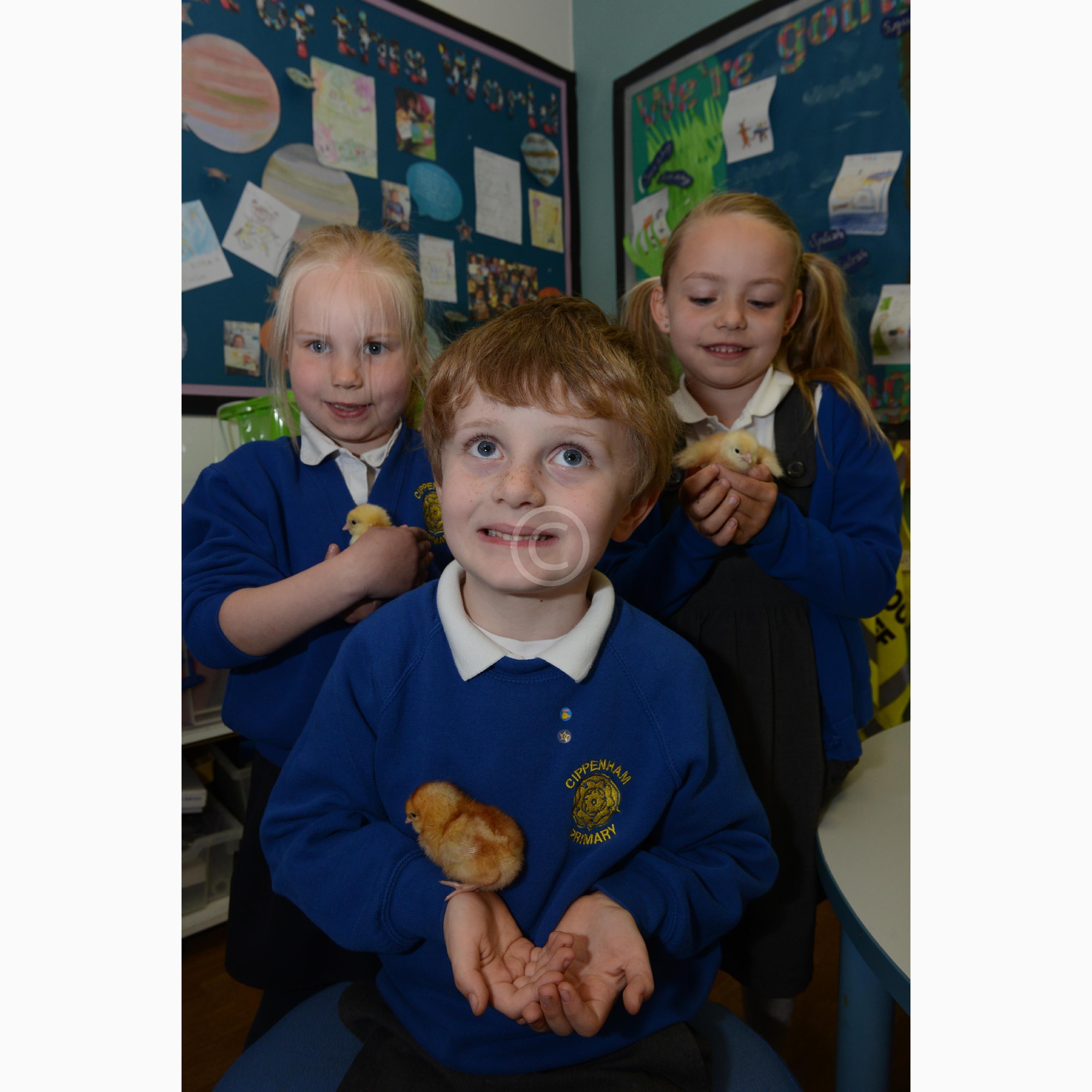 CIPPENHAM 128011 - Photo 1 of 8 - Baylis Media Photos