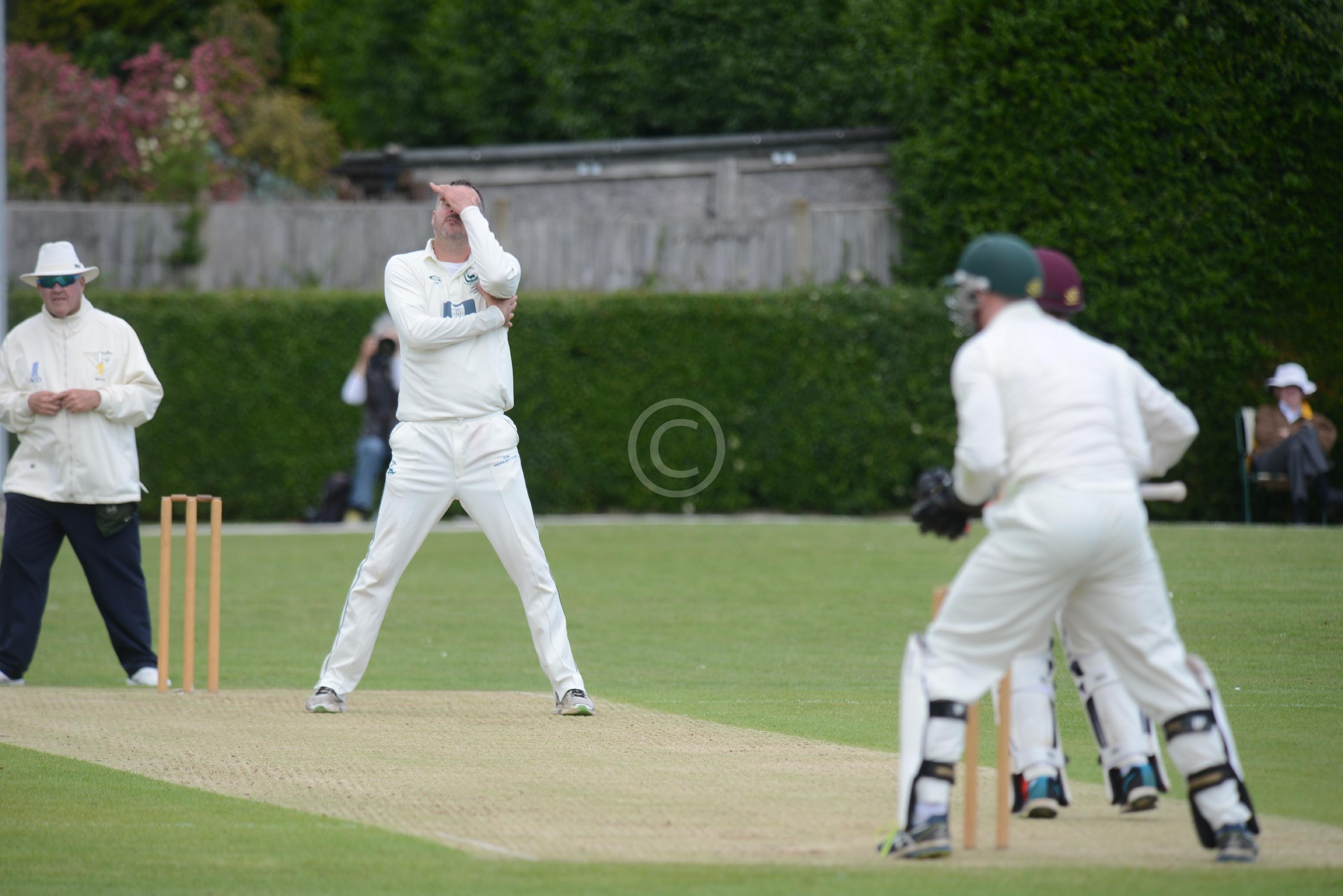 CRICKET 128207 - Photo 1 of 14 - Baylis Media Photos