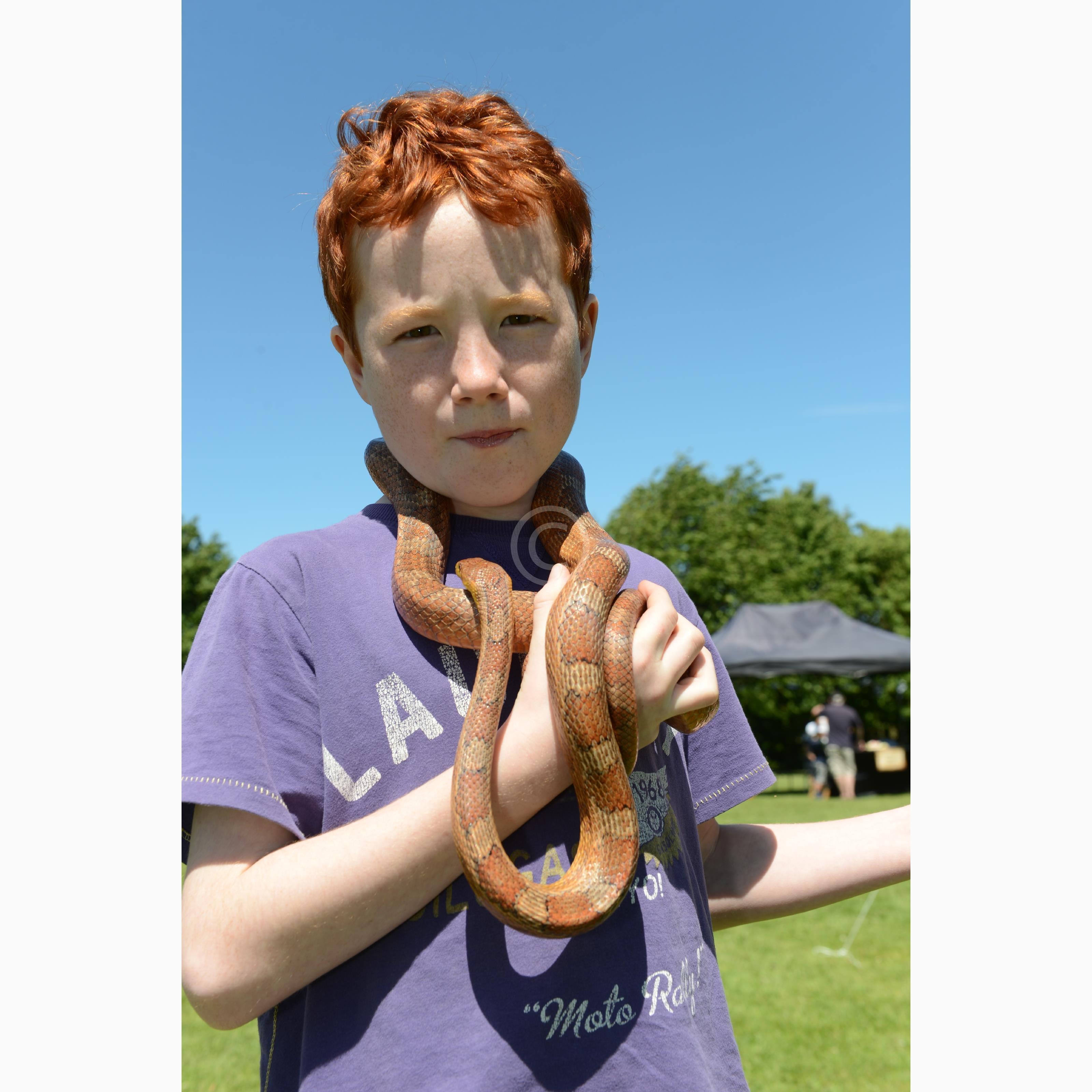 COOKHAM DEAN 128236 - Photo 1 of 47 - Baylis Media Photos