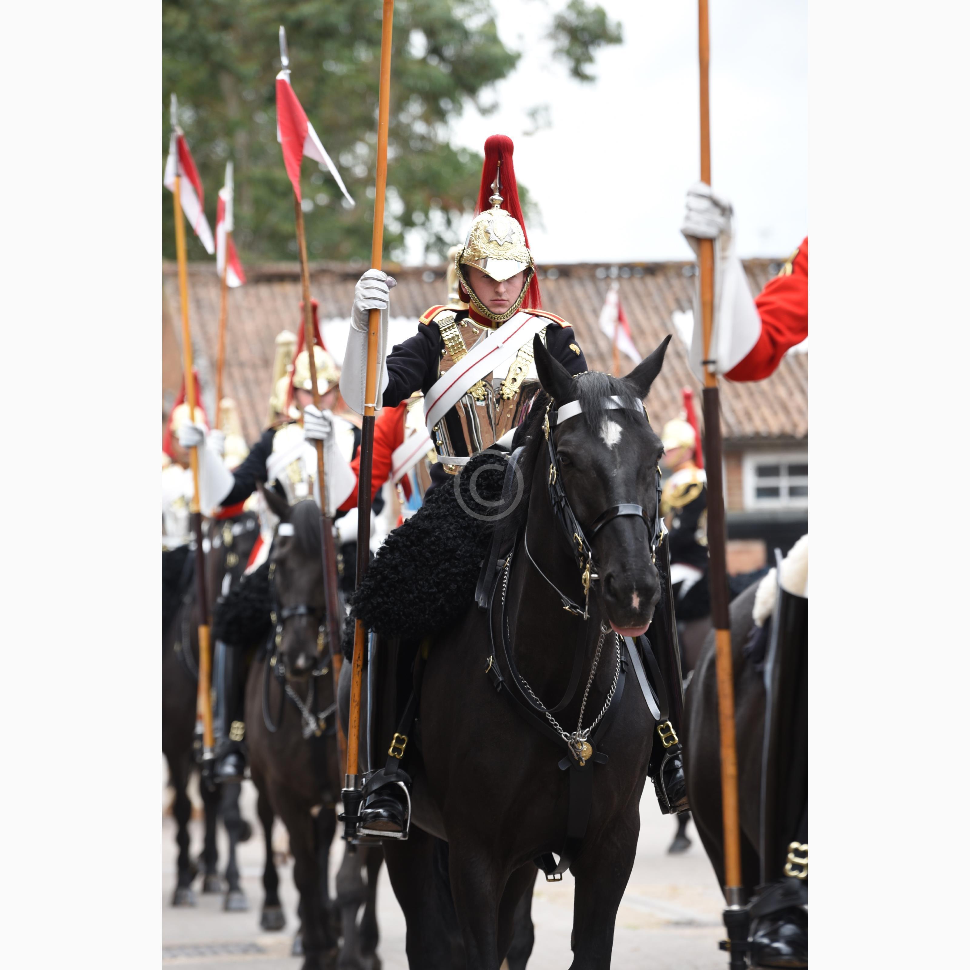 WINDSOR 128304 - Photo 1 of 36 - Baylis Media Photos