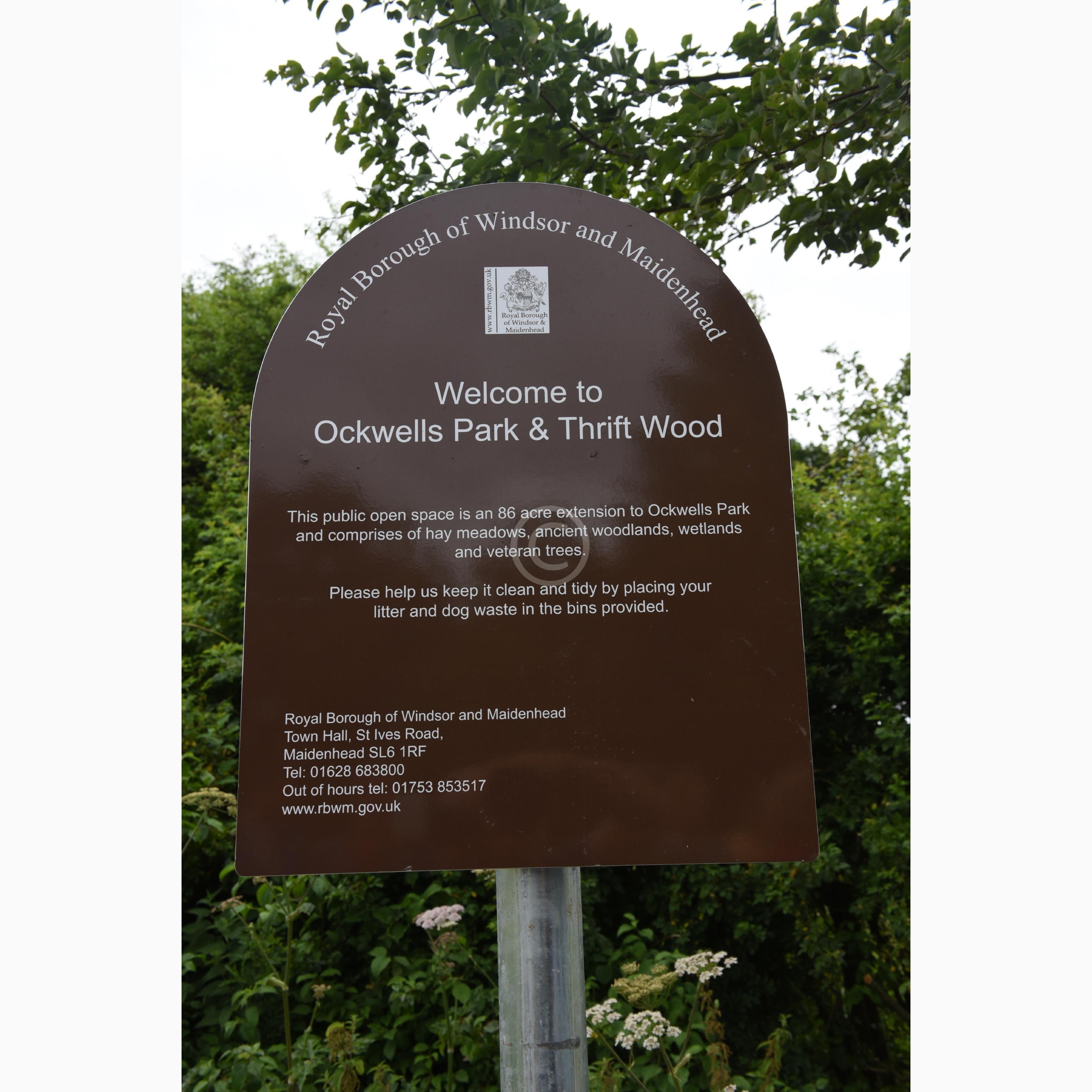 MAIDENHEAD 128308 - Photo 1 of 32 - Baylis Media Photos