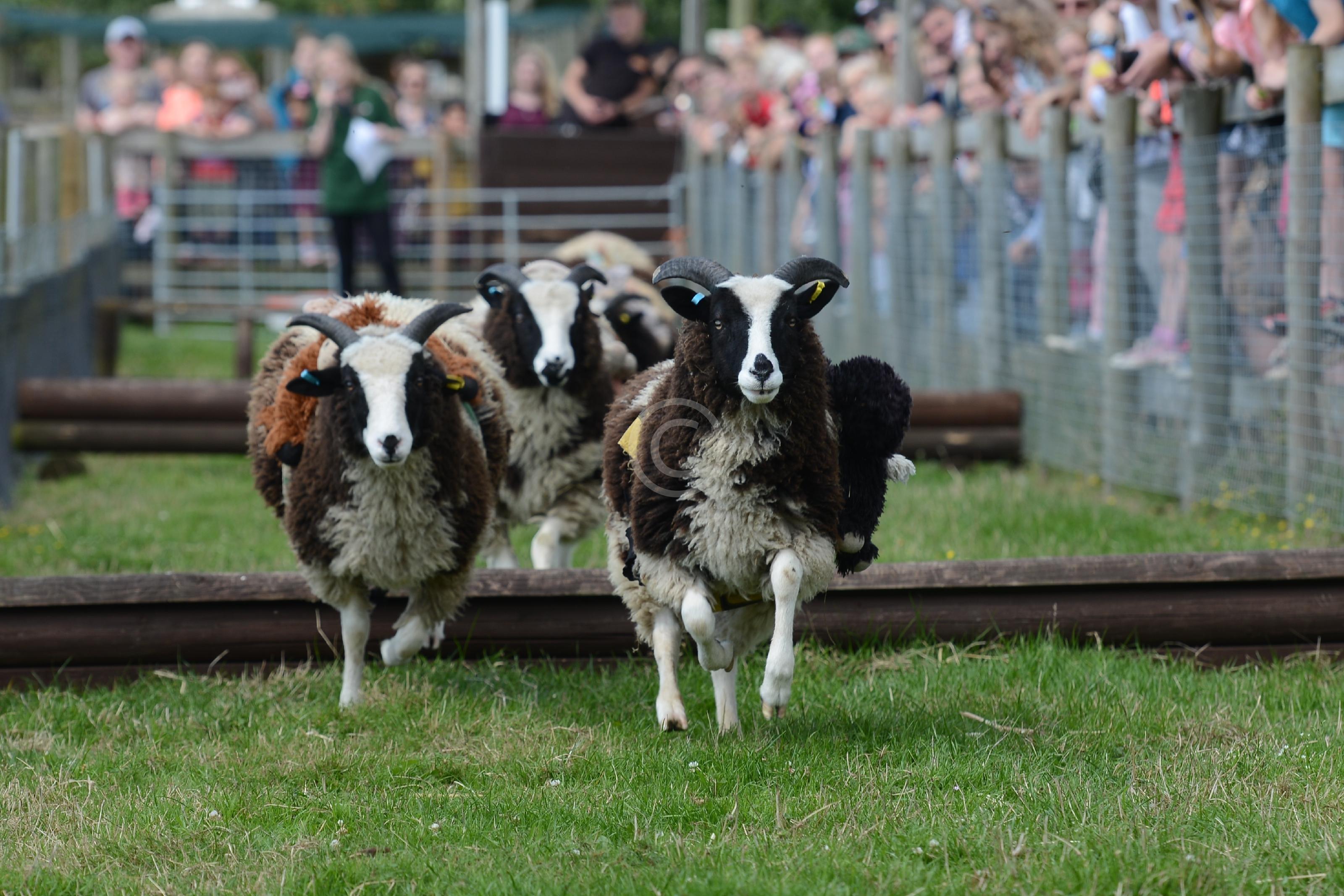 WOOBURN 128502 - Photo 1 of 52 - Baylis Media Photos