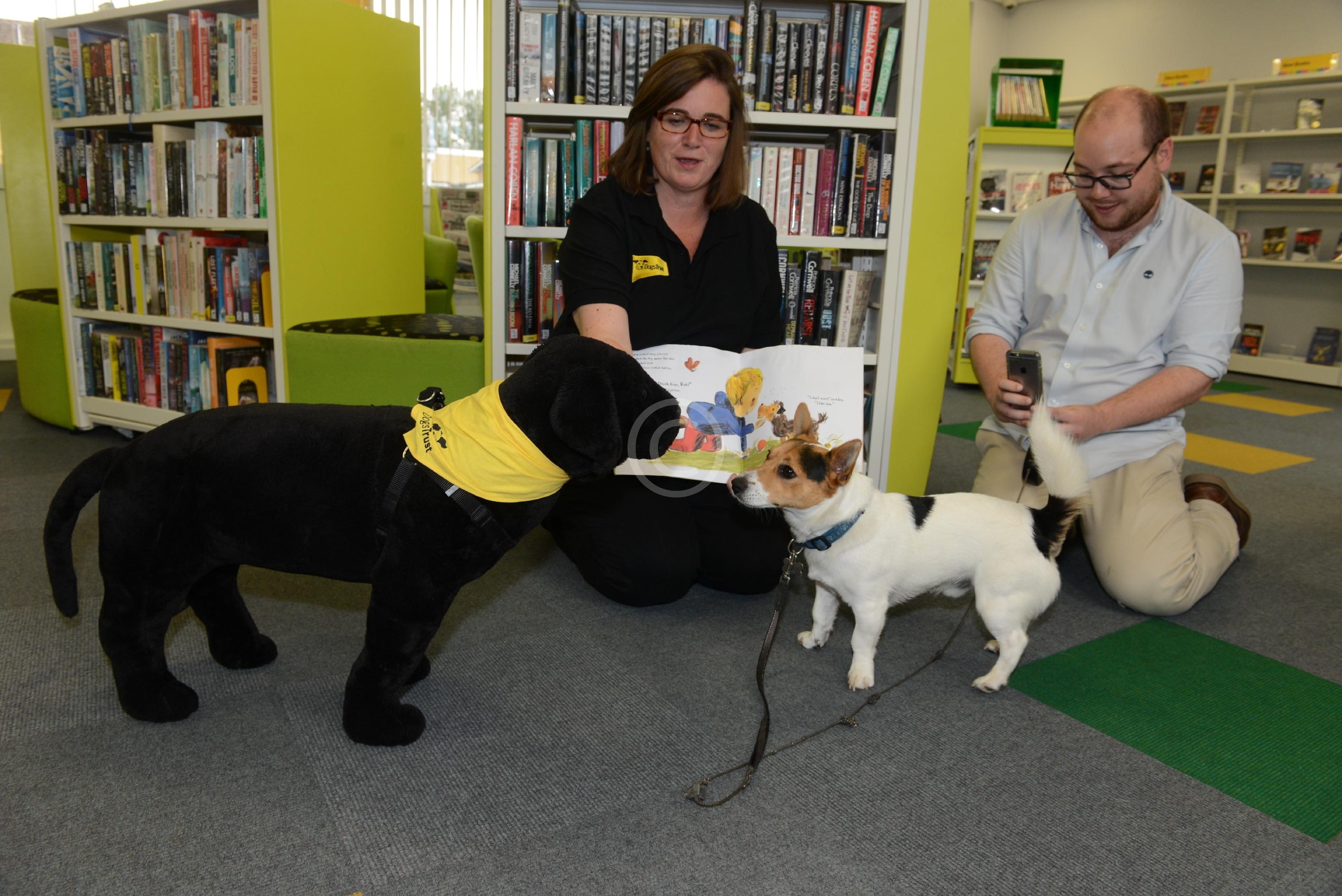 DEDWORTH 128631 - Photo 1 of 4 - Baylis Media Photos