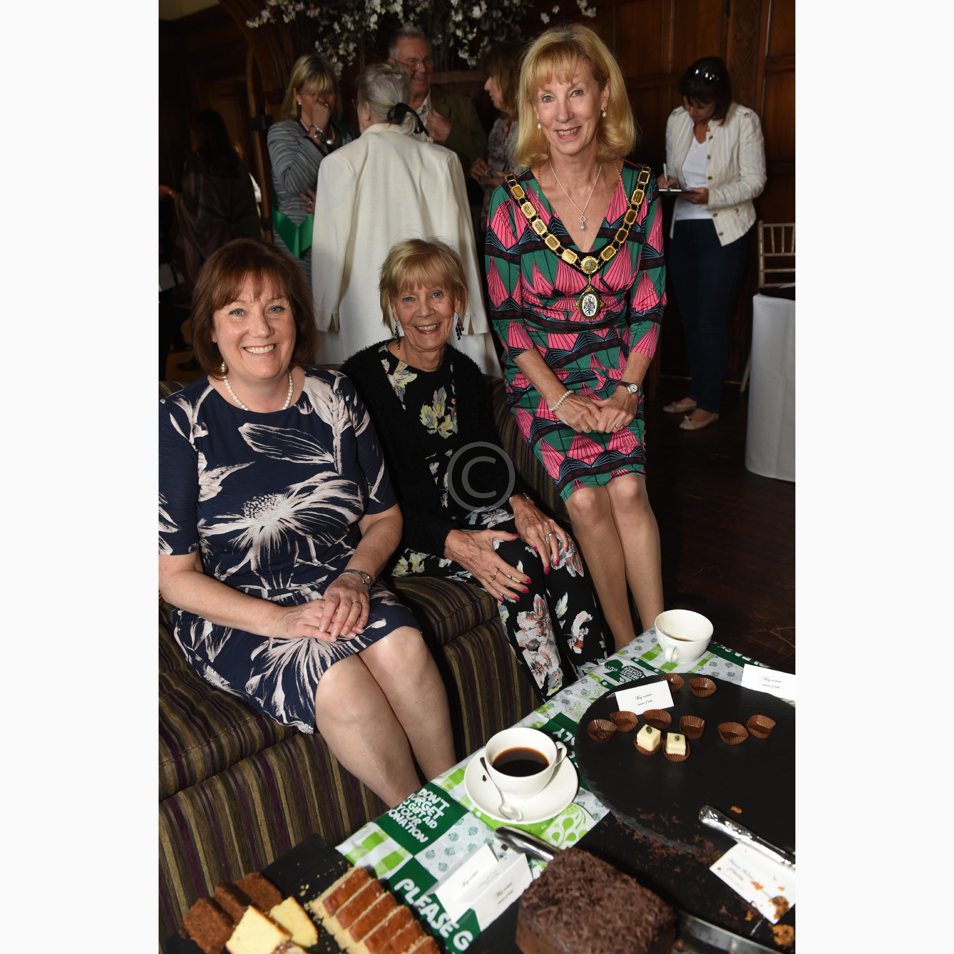 MARLOW 128703 - Photo 1 of 20 - Baylis Media Photos