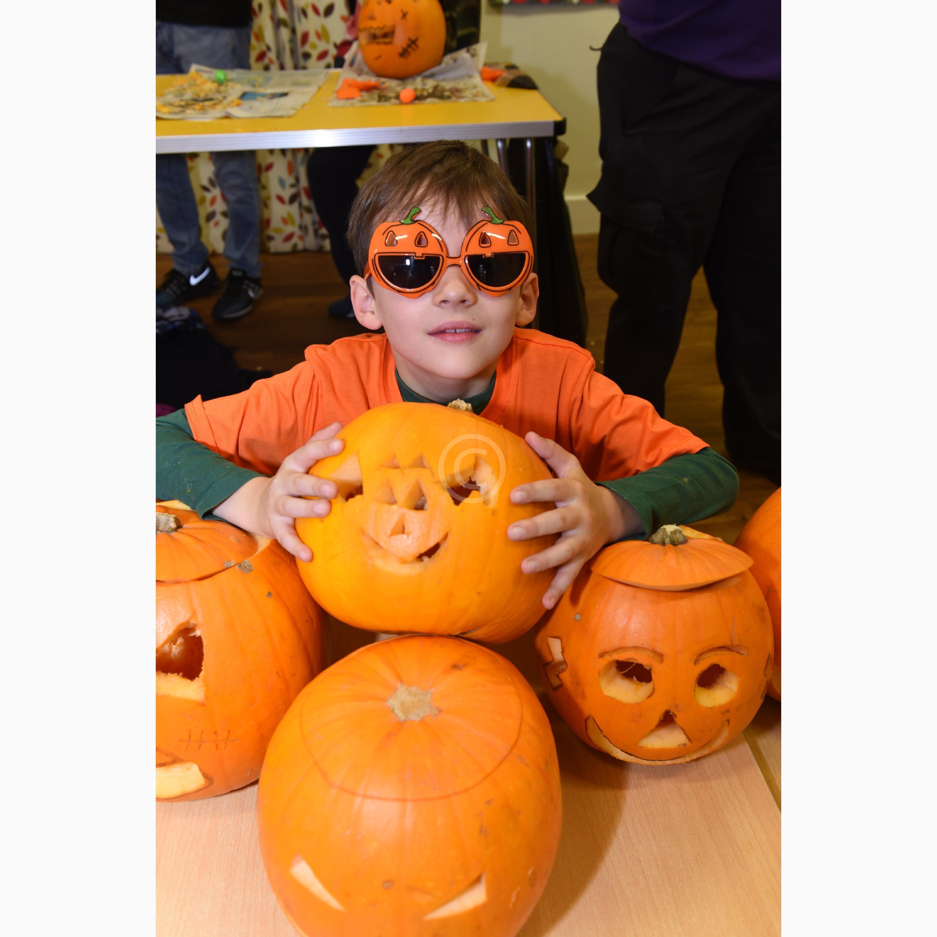 DEDWORTH 128938 - Photo 1 of 16 - Baylis Media Photos