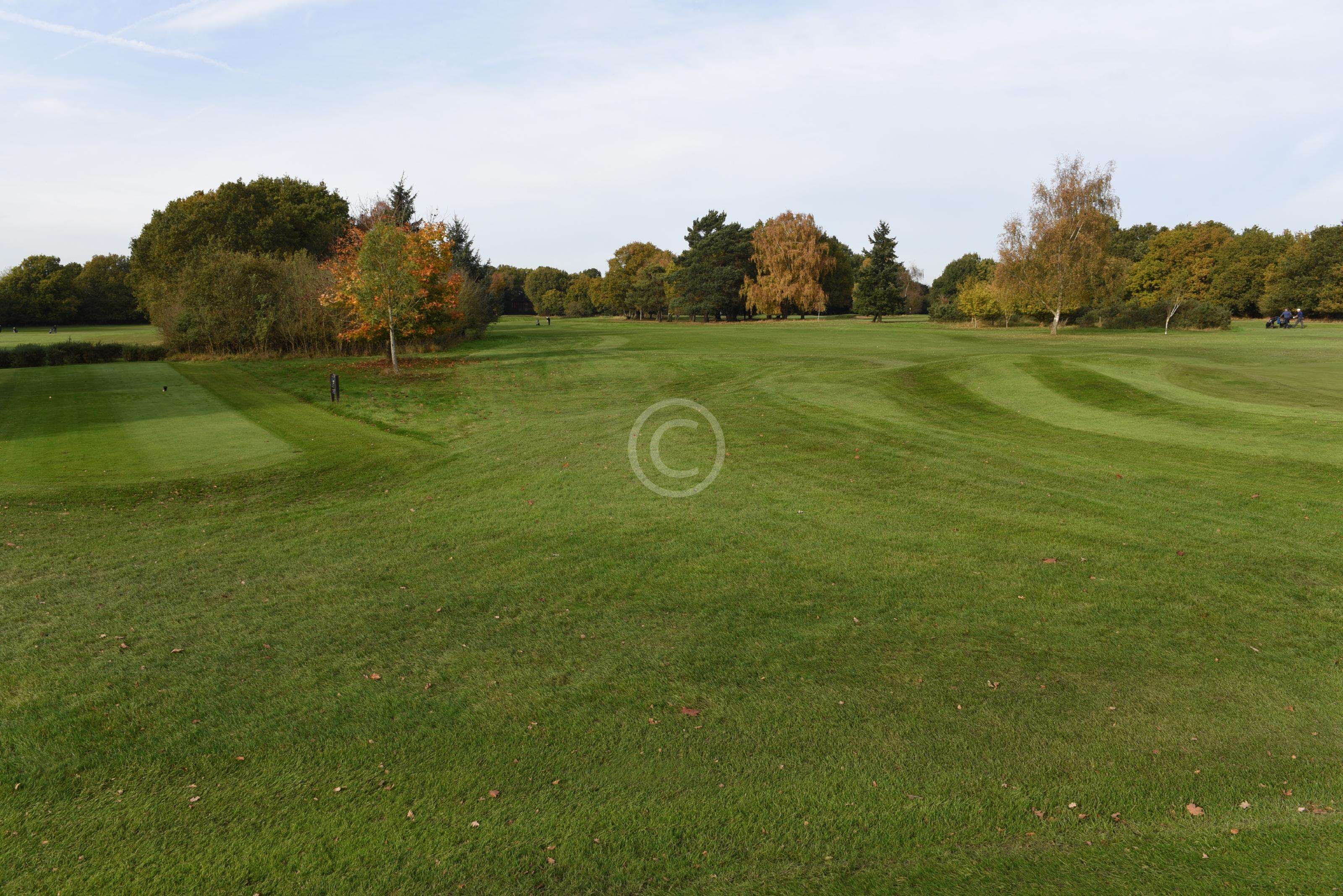 MAIDENHEAD 128967 - Photo 1 of 70 - Baylis Media Photos