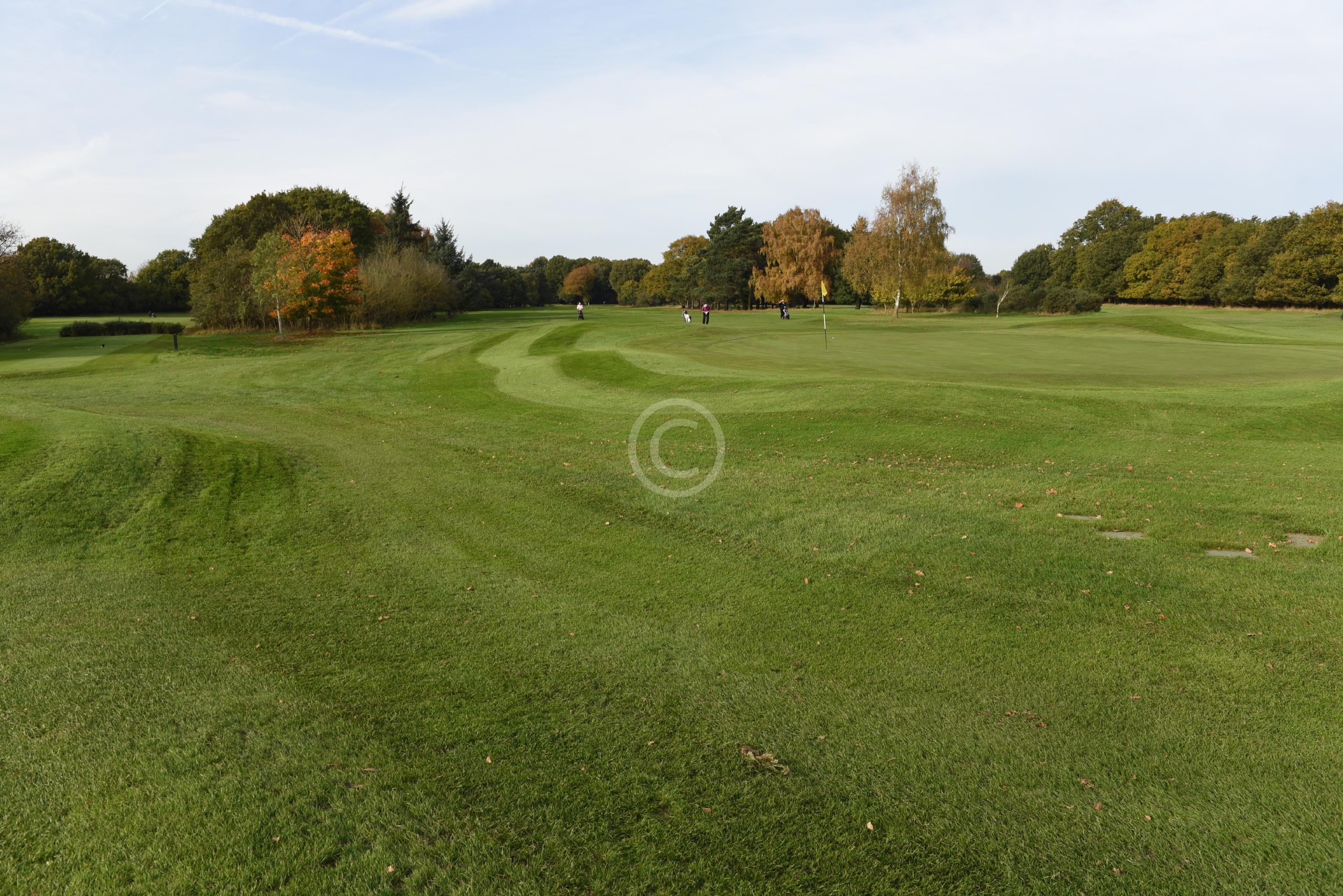 MAIDENHEAD 128967 - Photo 1 of 70 - Baylis Media Photos