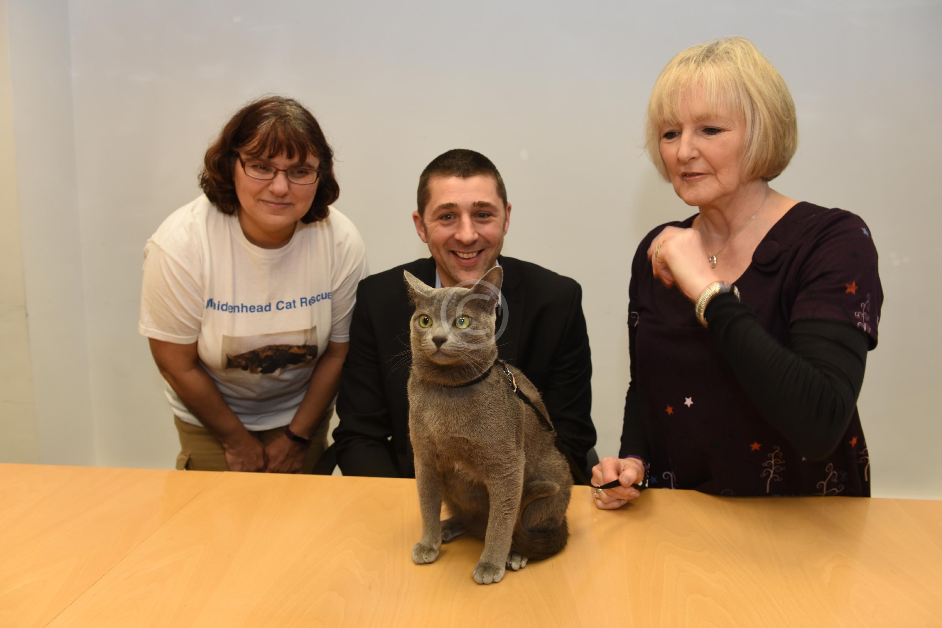 MAIDENHEAD 129316 - Photo 2 of 18 - Baylis Media Photos