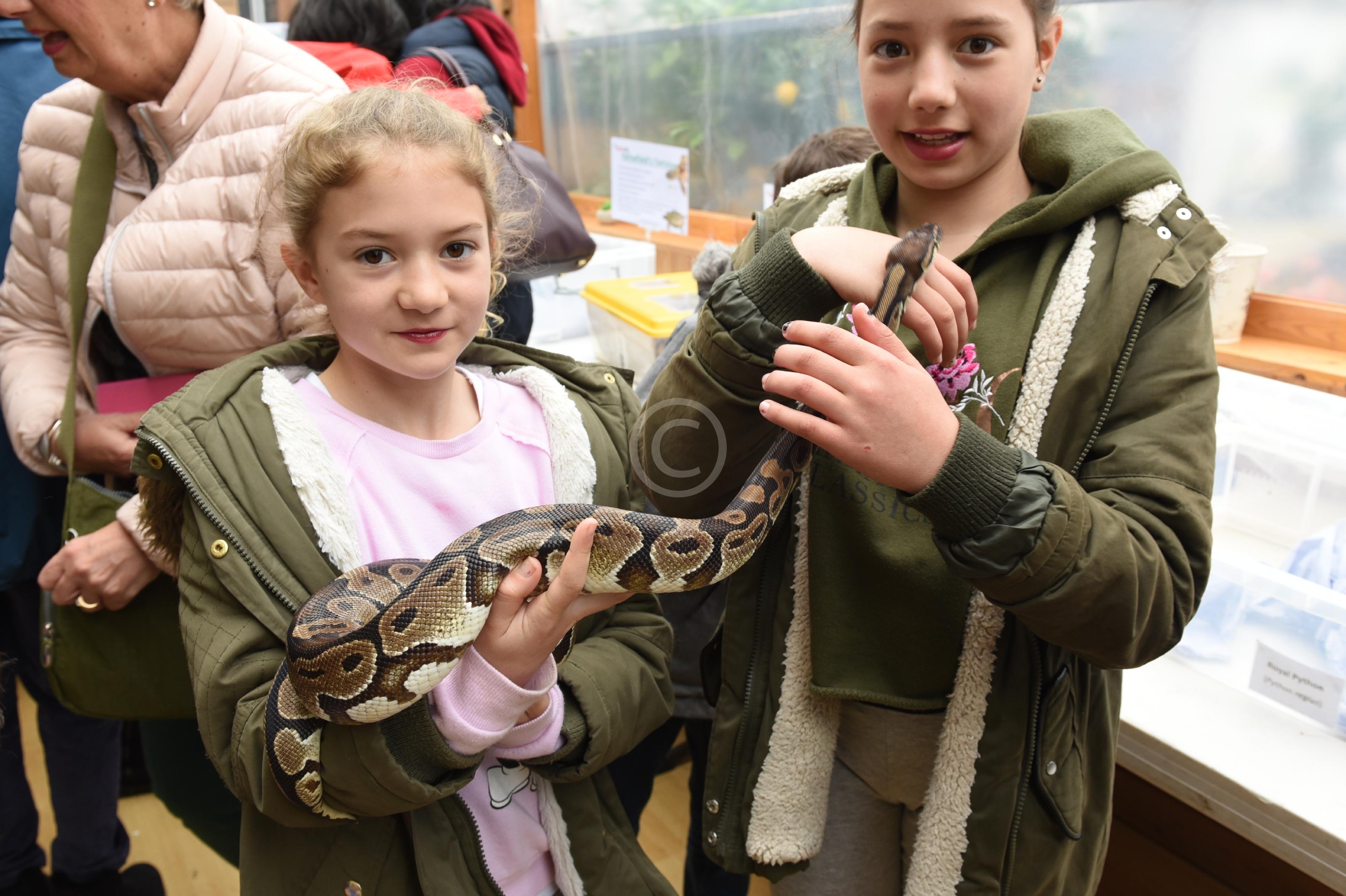 TWYFORD 129665 - Photo 1 of 16 - Baylis Media Photos