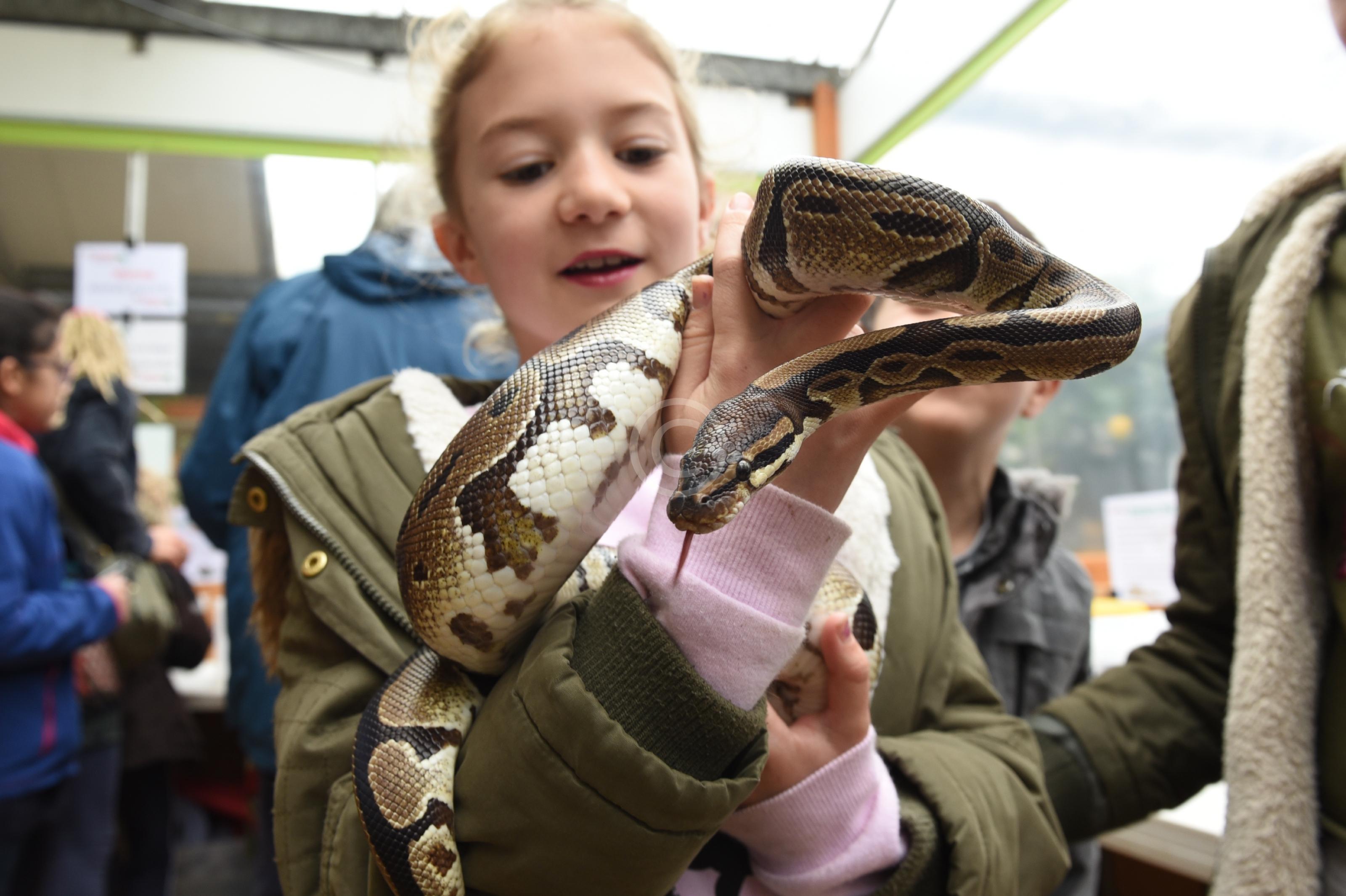 TWYFORD 129665 - Photo 1 of 16 - Baylis Media Photos