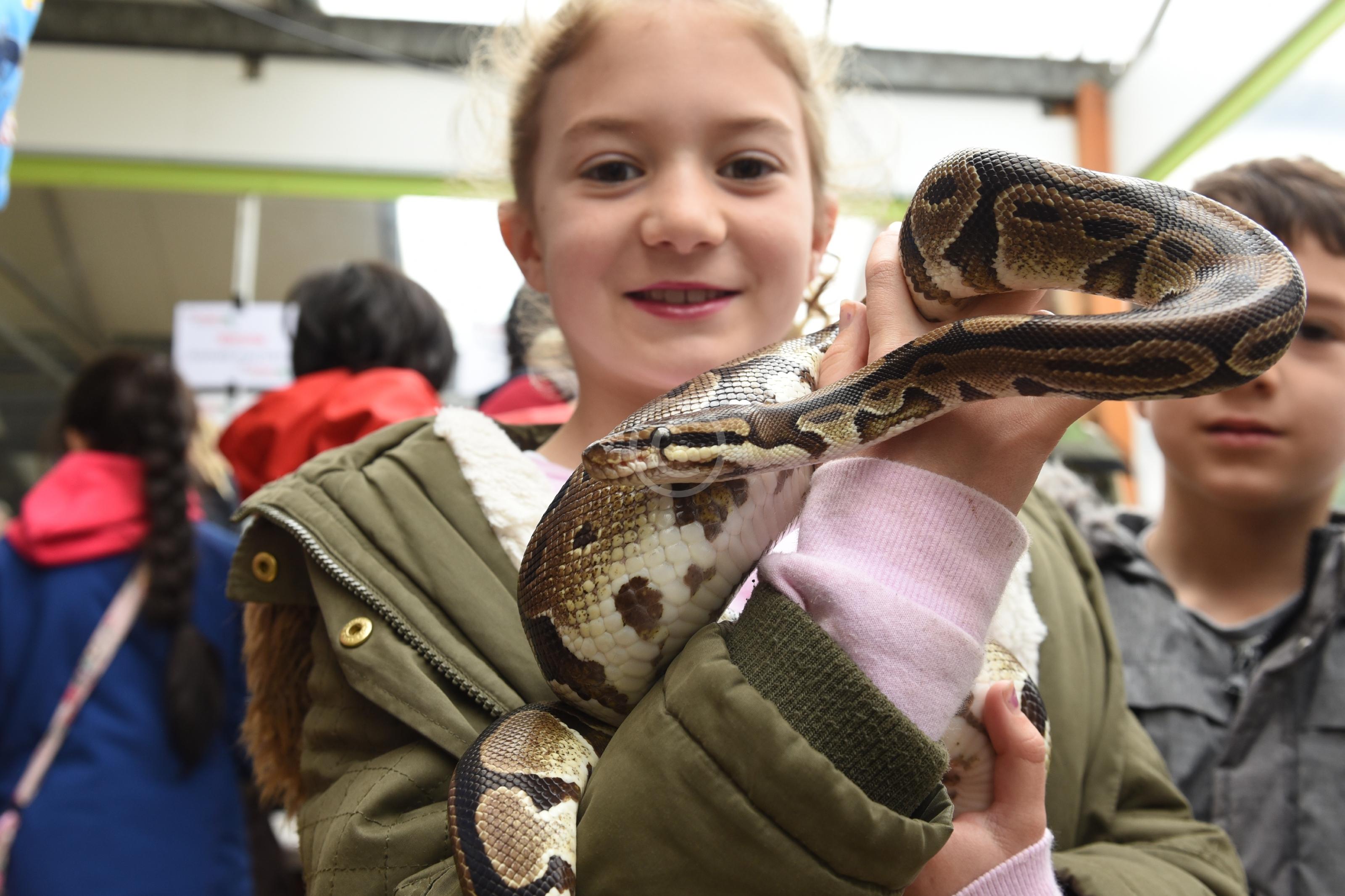 TWYFORD 129665 - Photo 1 of 16 - Baylis Media Photos