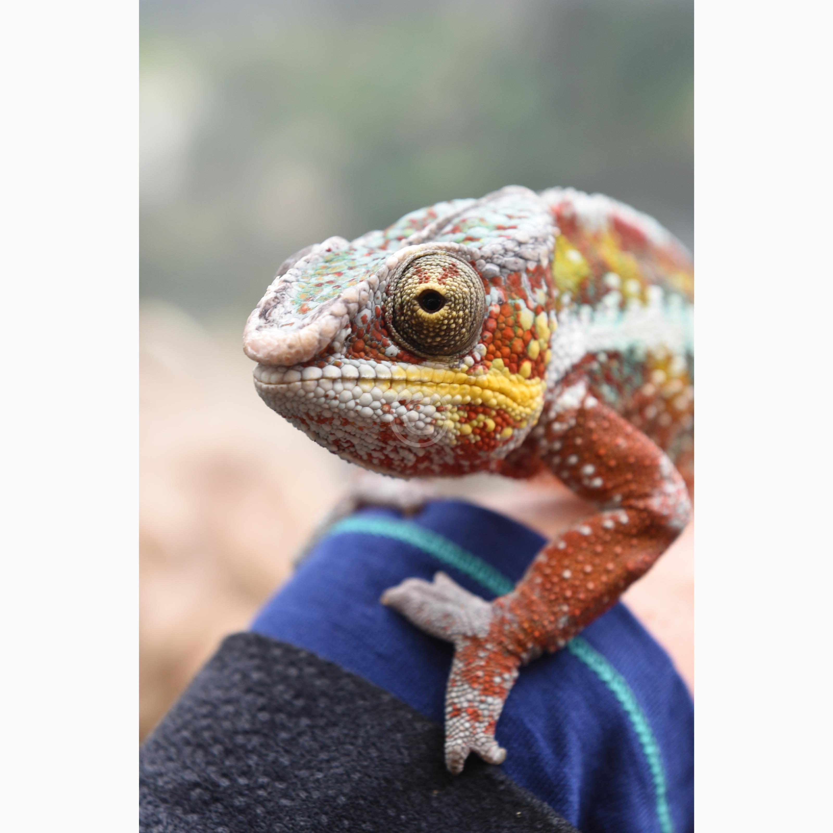 TWYFORD 129665 - Photo 1 of 16 - Baylis Media Photos