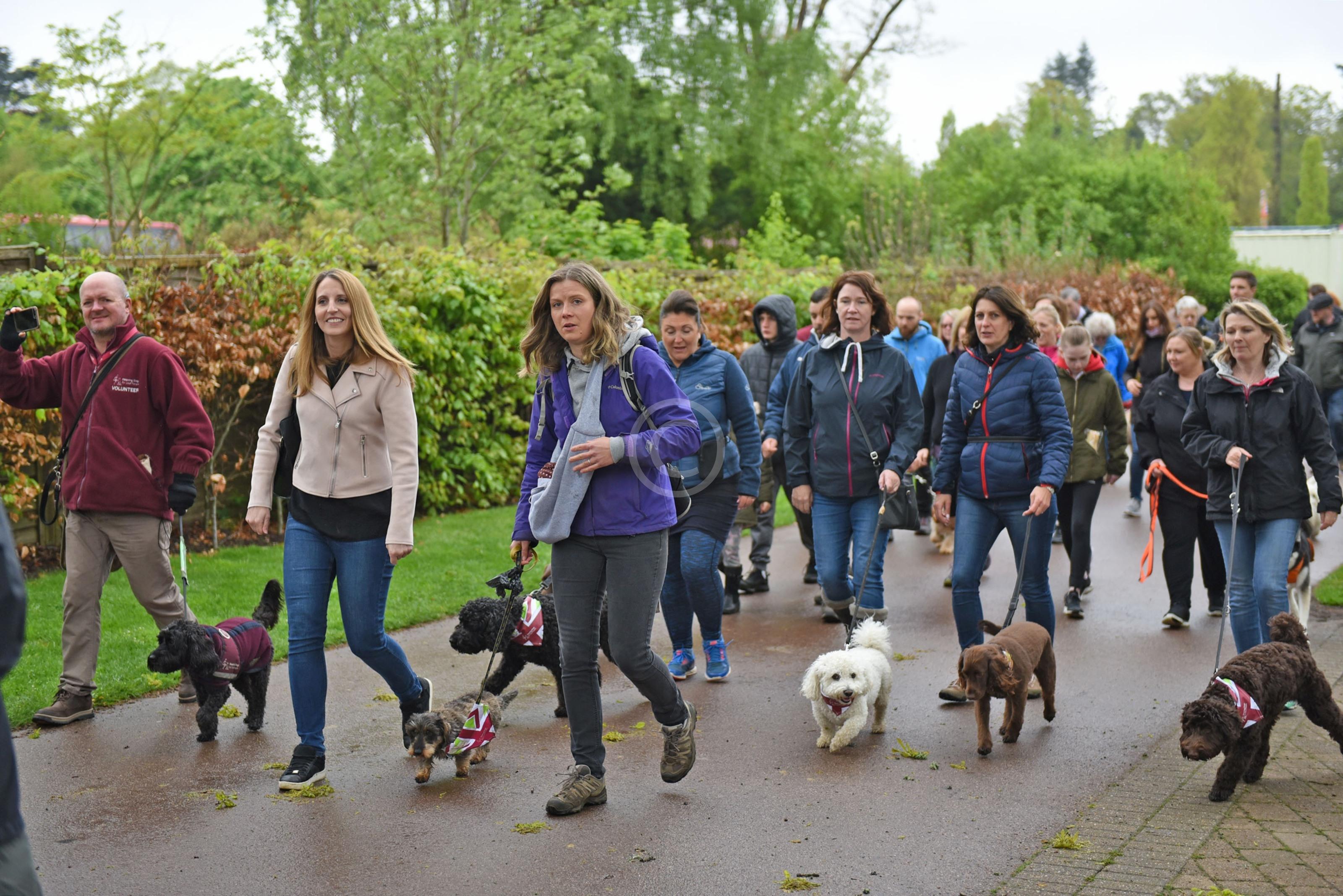 WINDSOR 129745 - Photo 1 of 27 - Baylis Media Photos