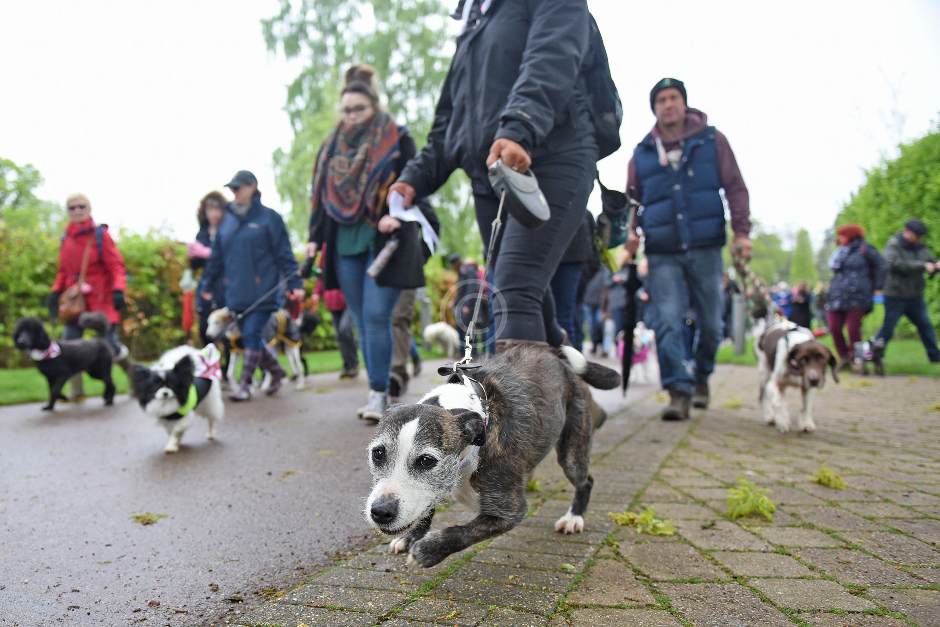 WINDSOR 129745 - Photo 1 of 27 - Baylis Media Photos