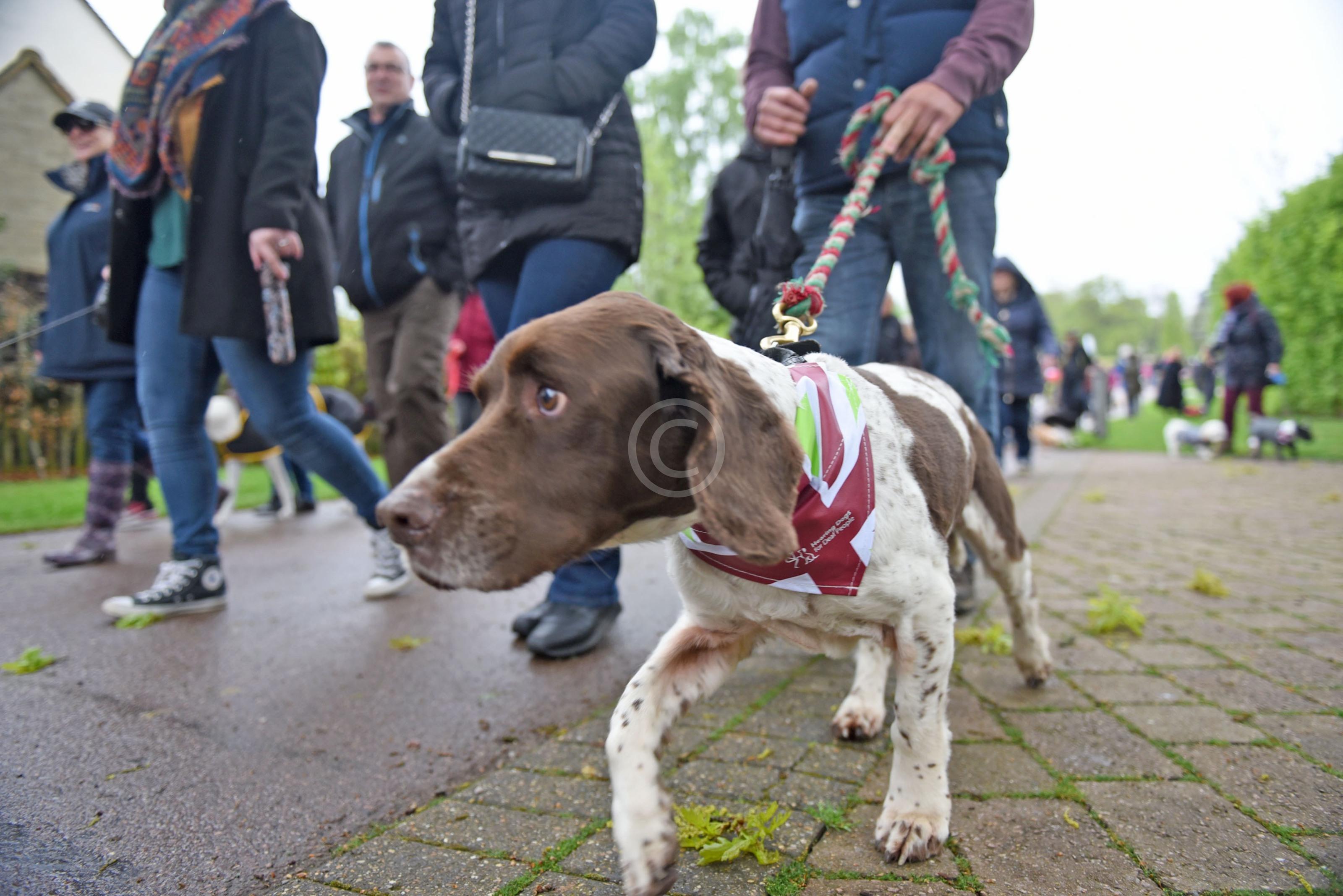 WINDSOR 129745 - Photo 1 of 27 - Baylis Media Photos