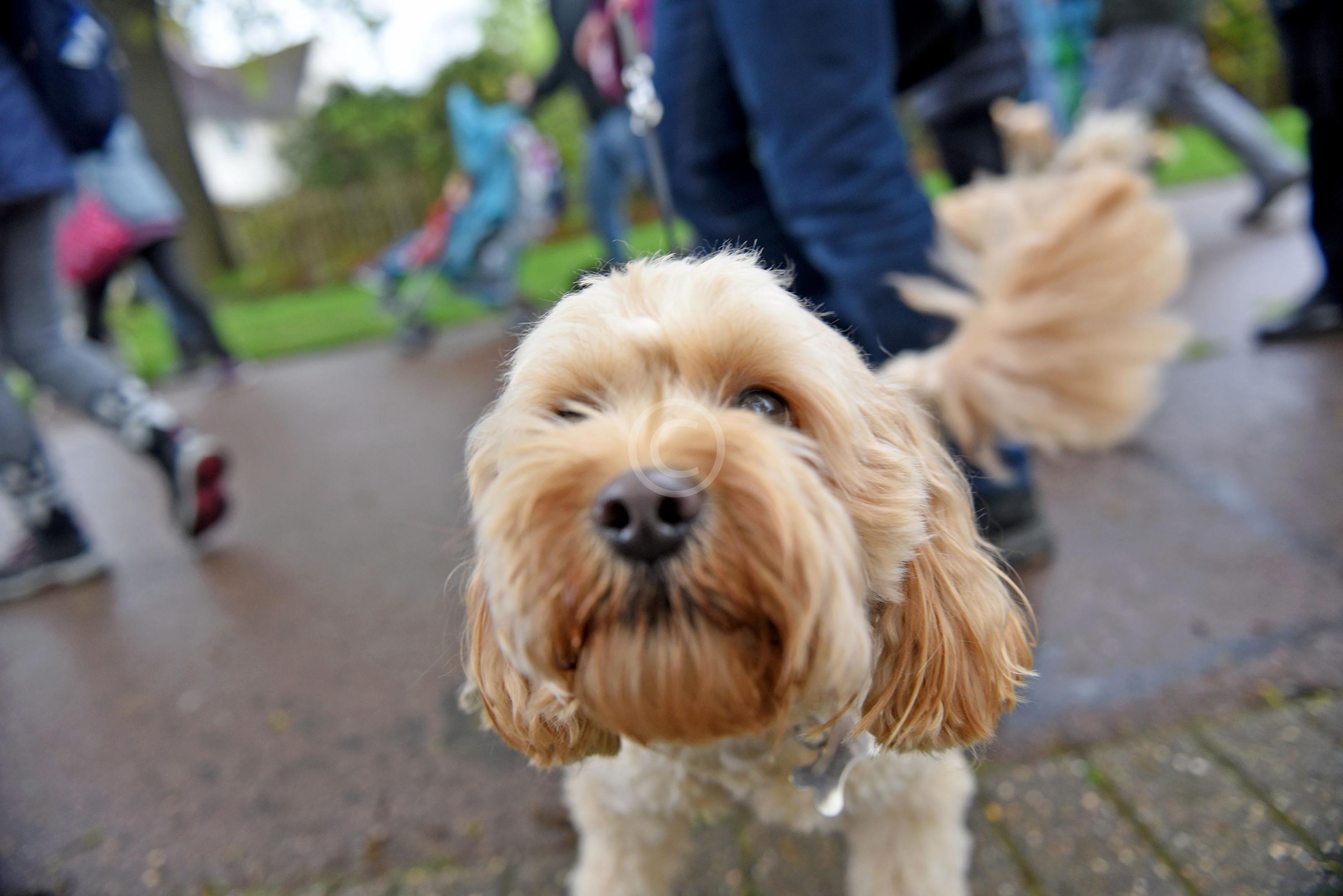 WINDSOR 129745 - Photo 1 of 27 - Baylis Media Photos
