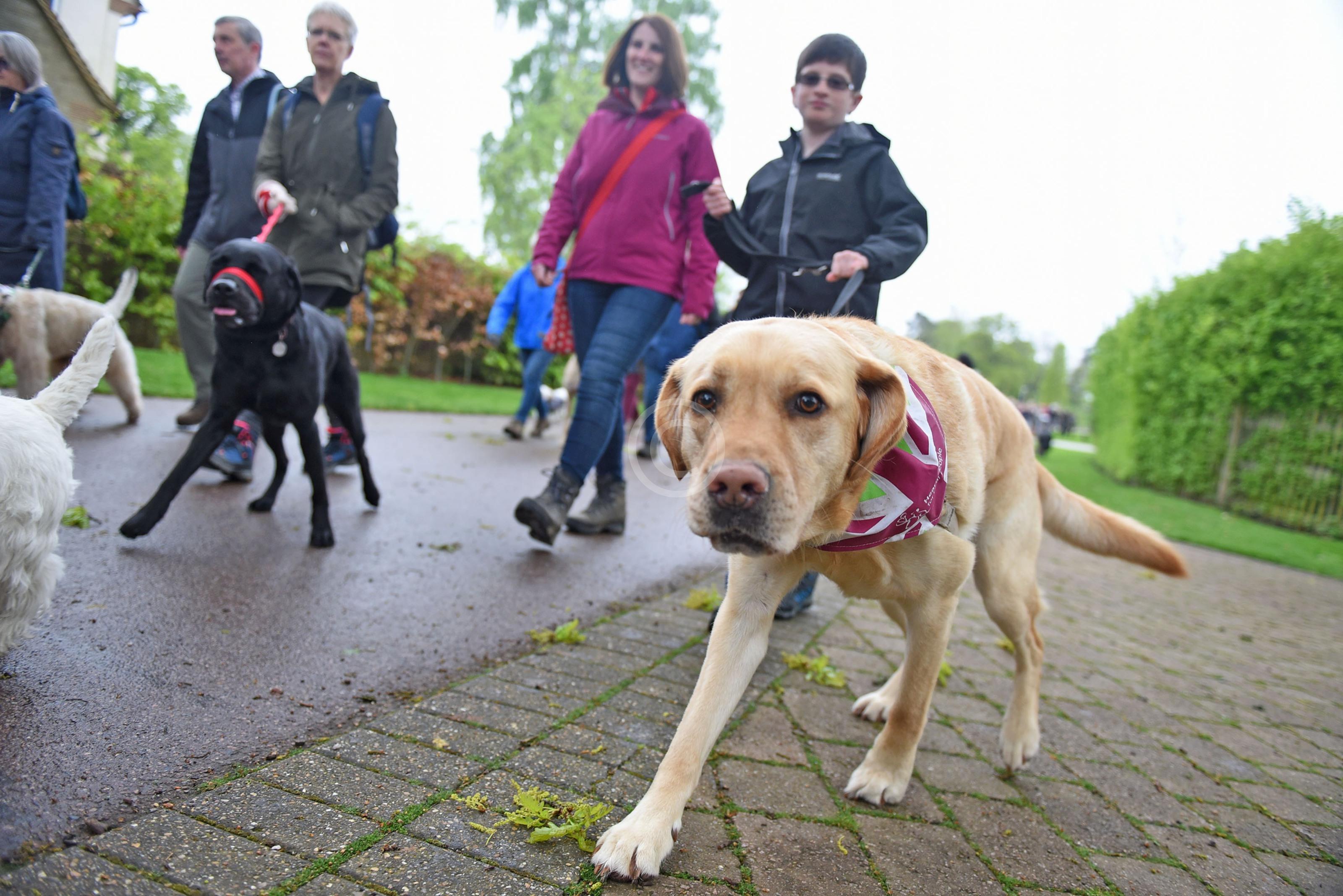 WINDSOR 129745 - Photo 1 of 27 - Baylis Media Photos