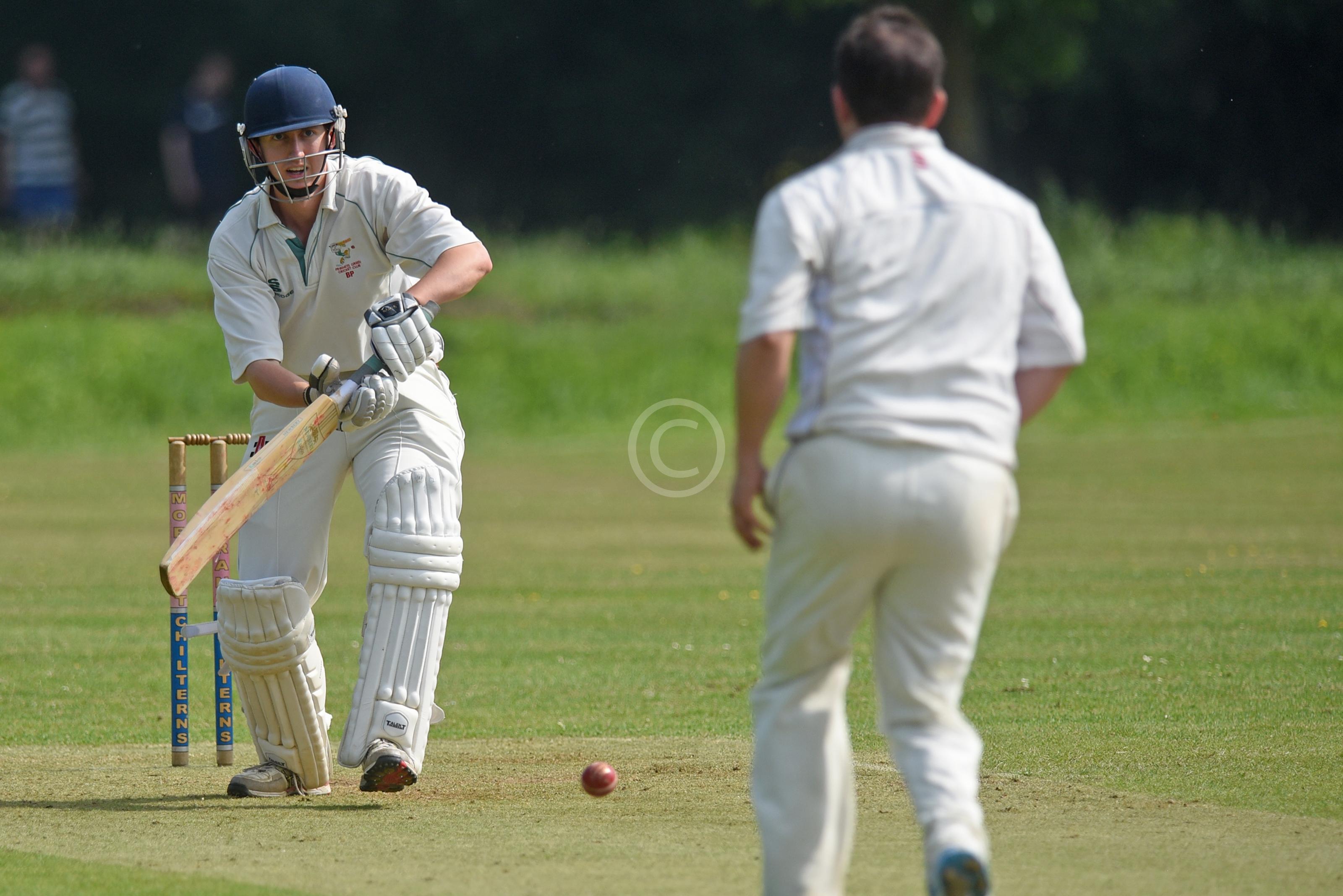 PINKNEYS GREEN 129859 - Photo 1 of 1 - Baylis Media Photos