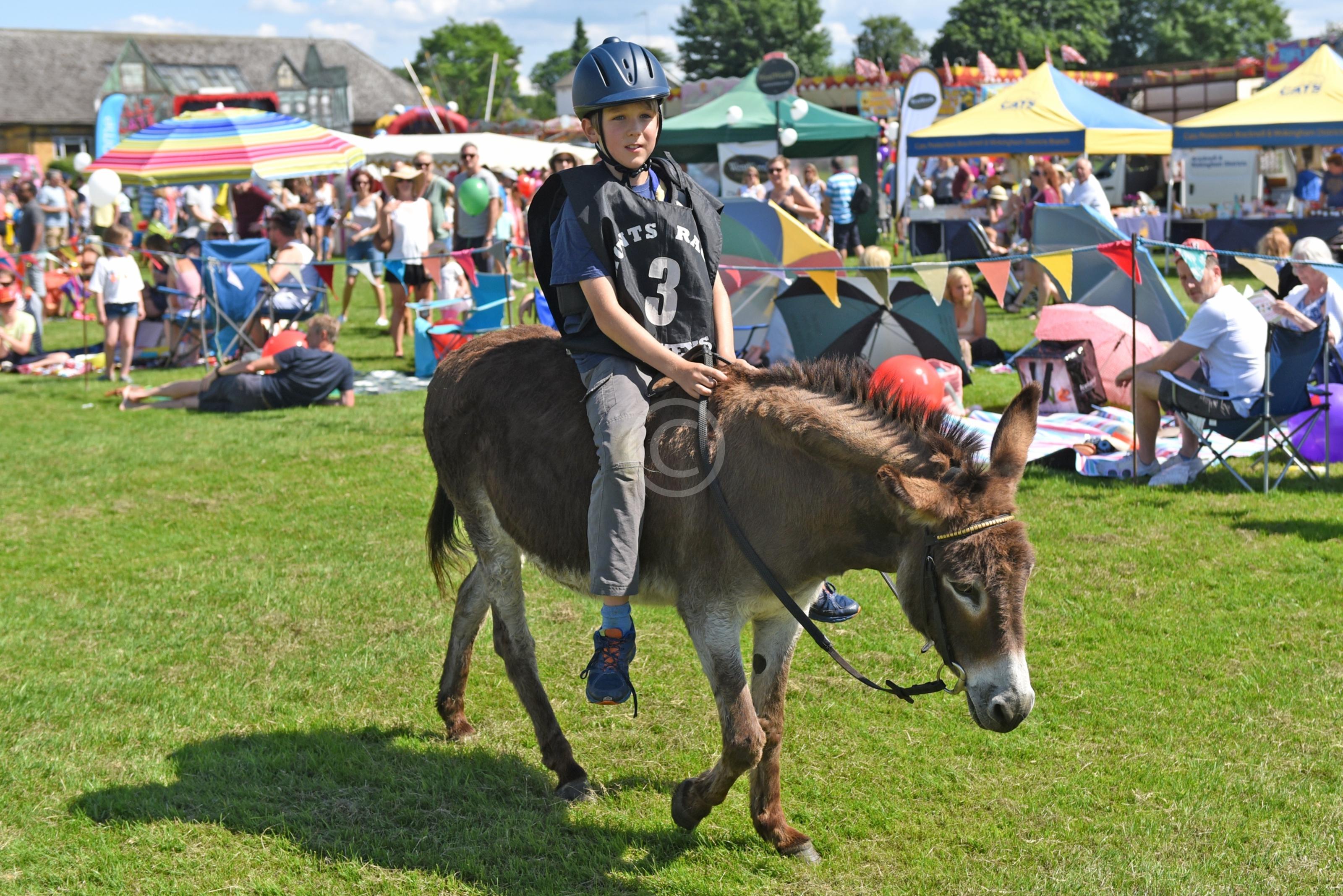 TWYFORD 129888 - Photo 1 of 14 - Baylis Media Photos