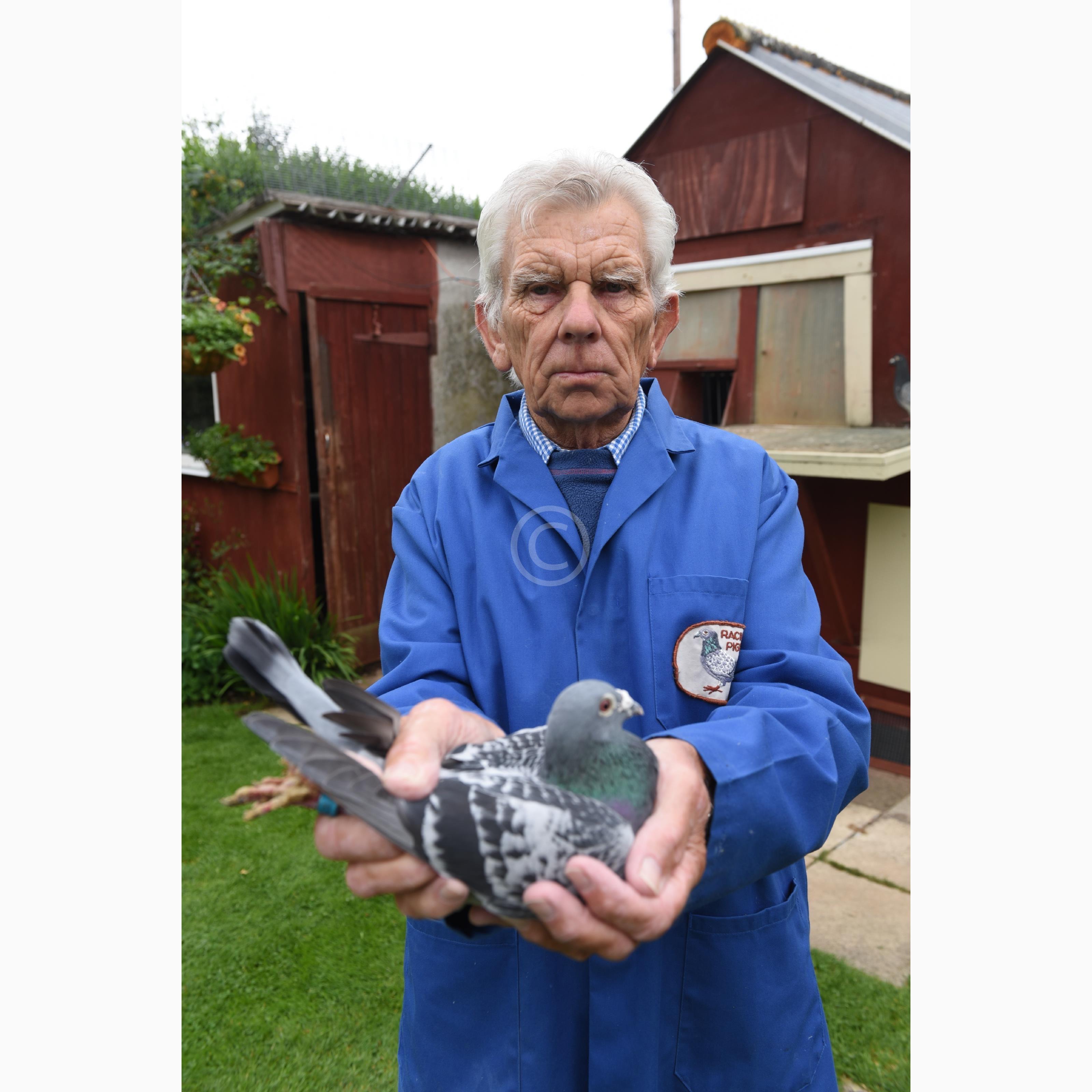 DEDWORTH 129893 - Photo 1 of 21 - Baylis Media Photos