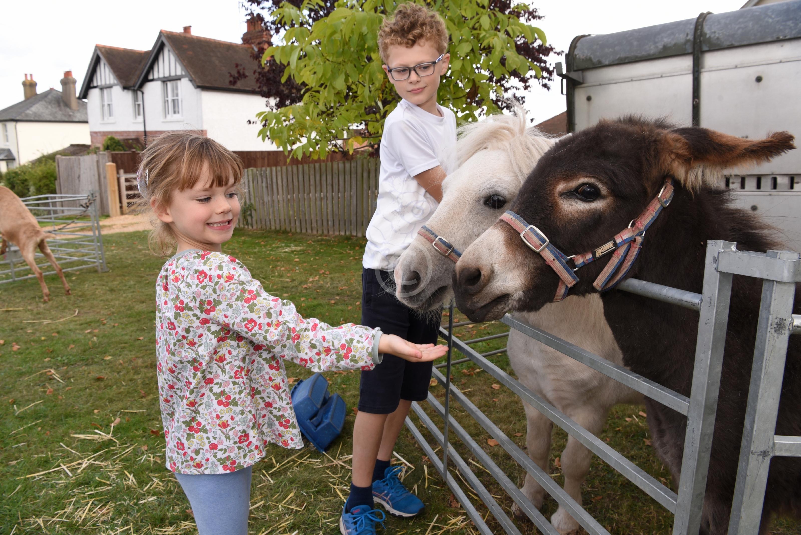 COOKHAM DEAN 130318 - Photo 1 of 16 - Baylis Media Photos