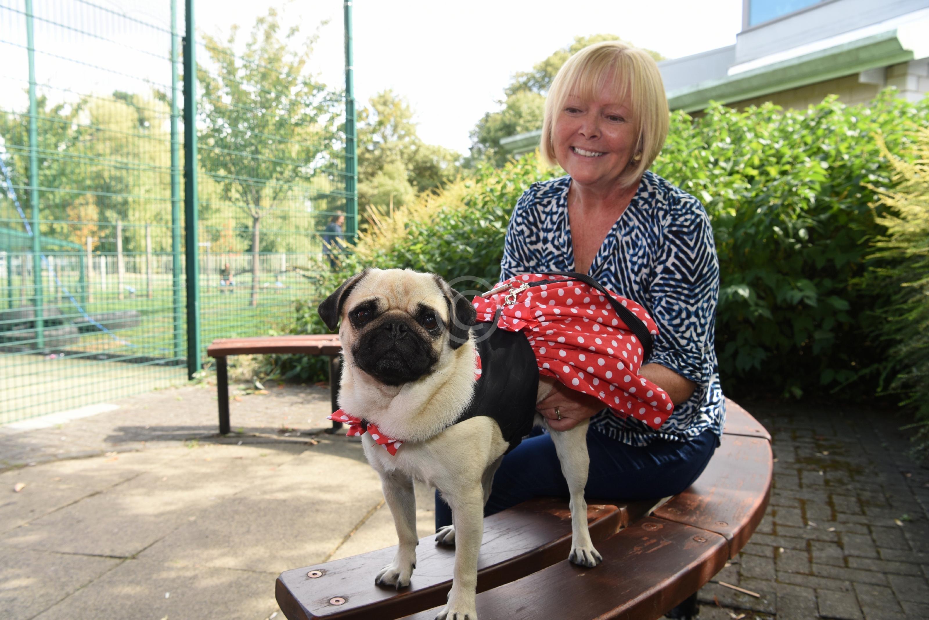 WINDSOR 130317 - Photo 1 of 15 - Baylis Media Photos