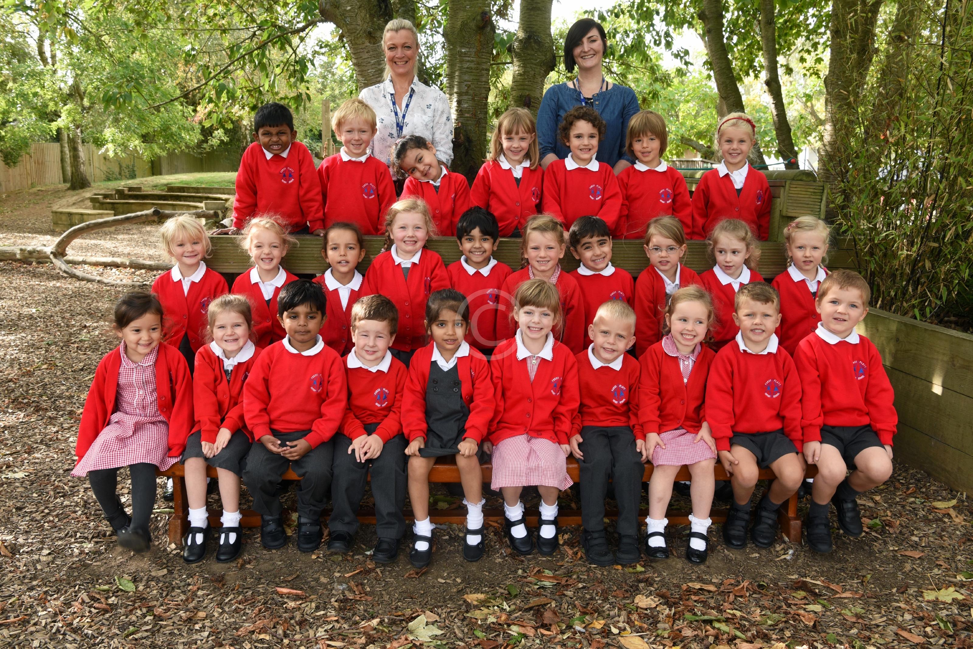 FIRST CLASS 130346 - Photo 1 of 13 - Baylis Media Photos