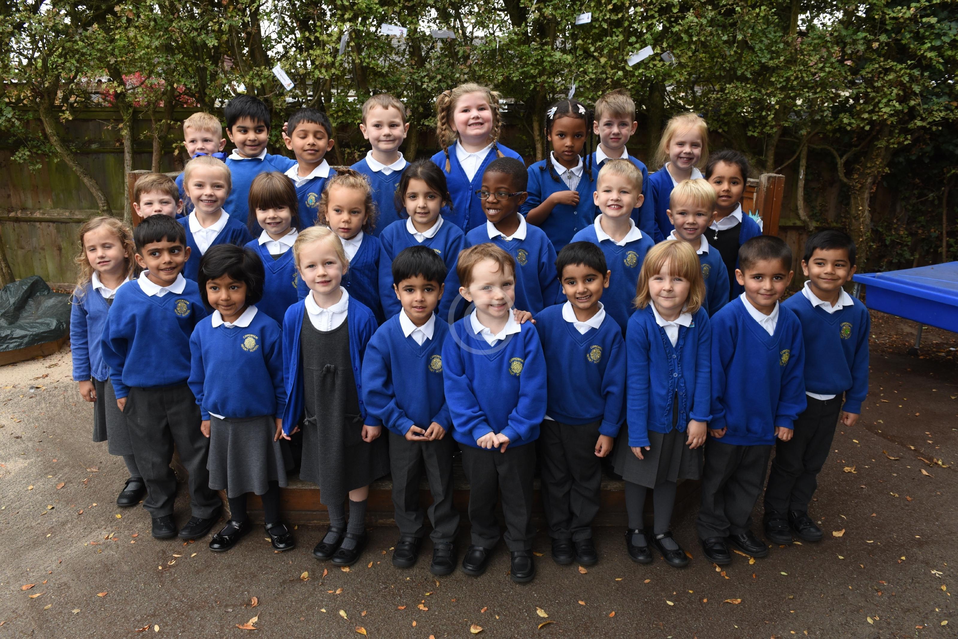 FIRST CLASS 130435 - Photo 1 of 16 - Baylis Media Photos