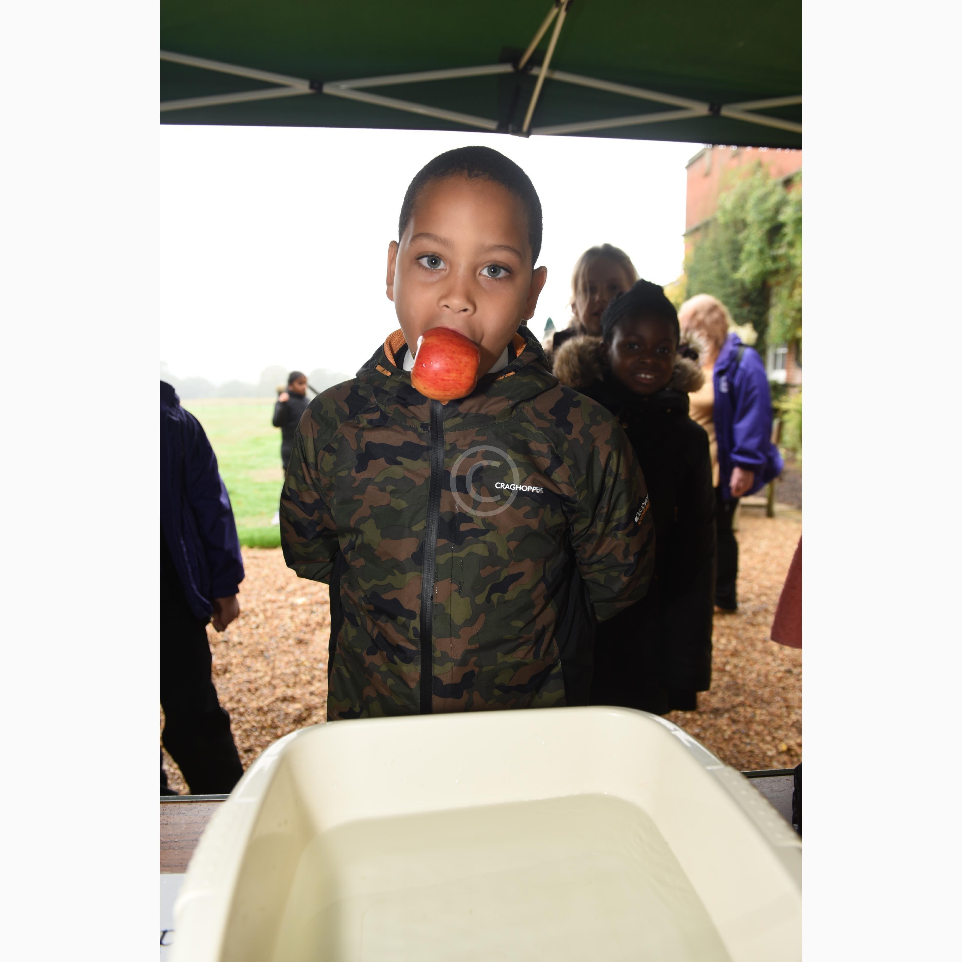 WINDSOR 130486 - Photo 2 of 11 - Baylis Media Photos