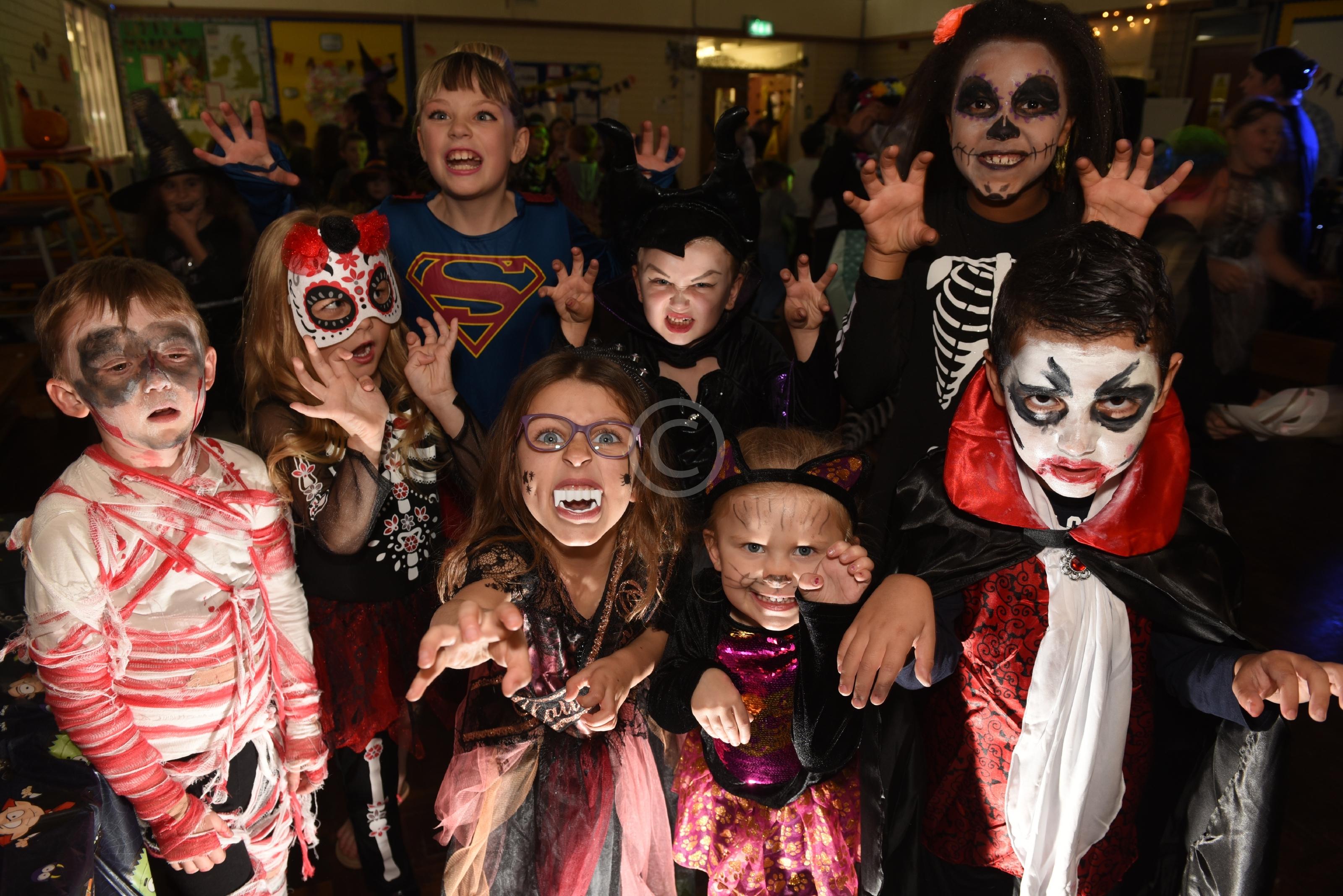 WINDSOR 130495 - Photo 1 of 5 - Baylis Media Photos