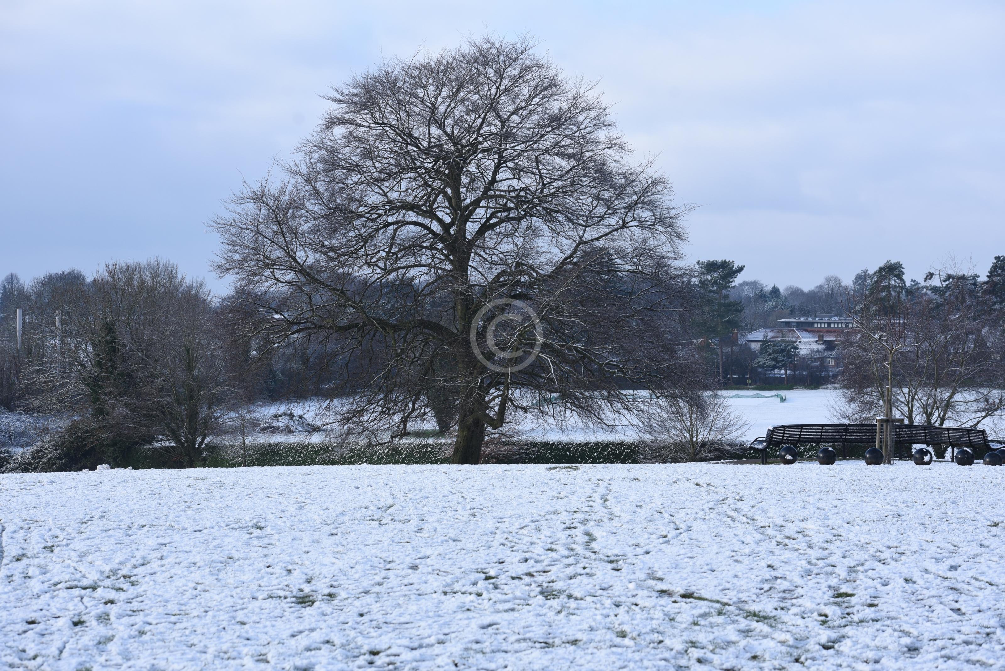 MAIDENHEAD 130851 - Photo 1 of 11 - Baylis Media Photos