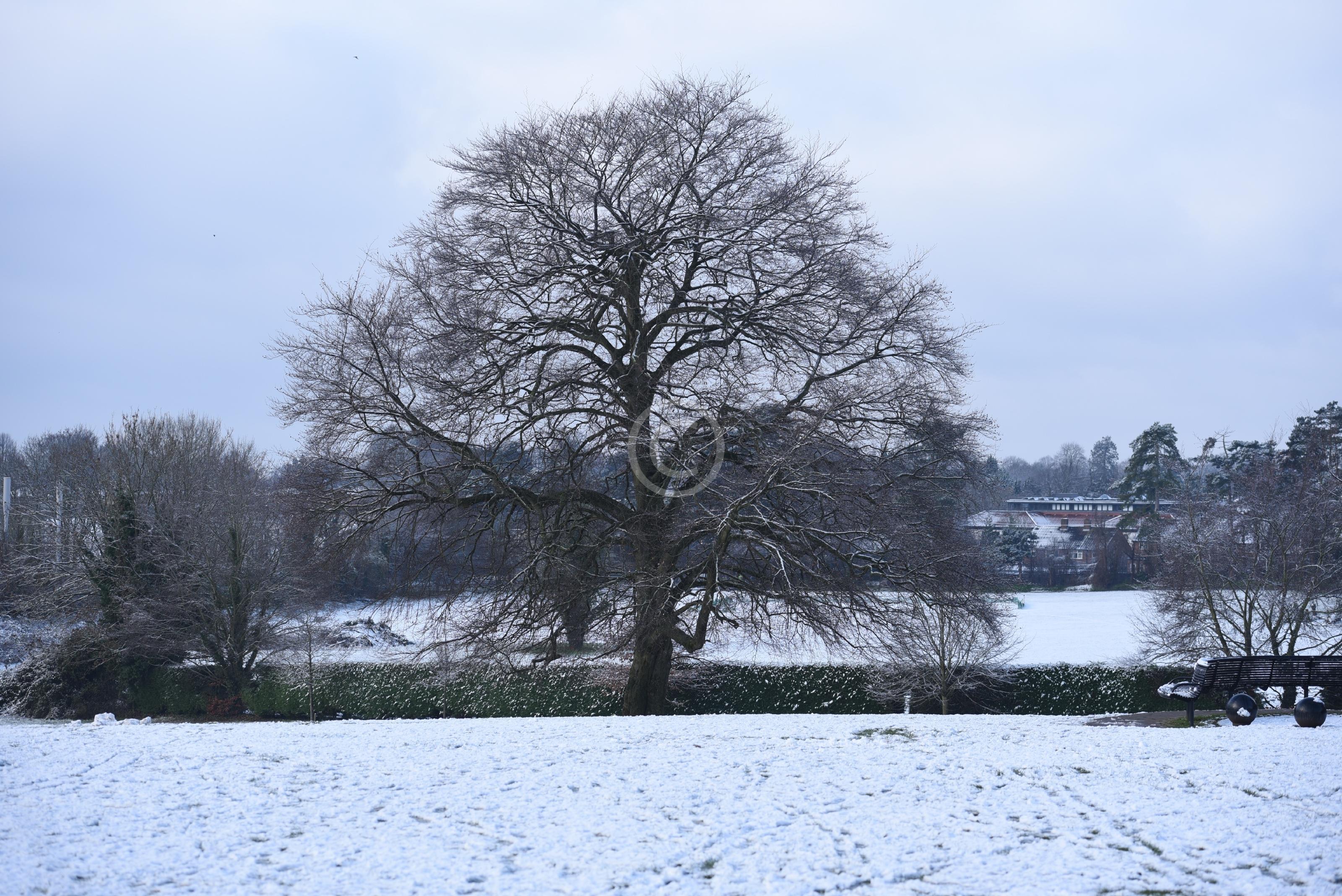 MAIDENHEAD 130851 - Photo 1 of 11 - Baylis Media Photos