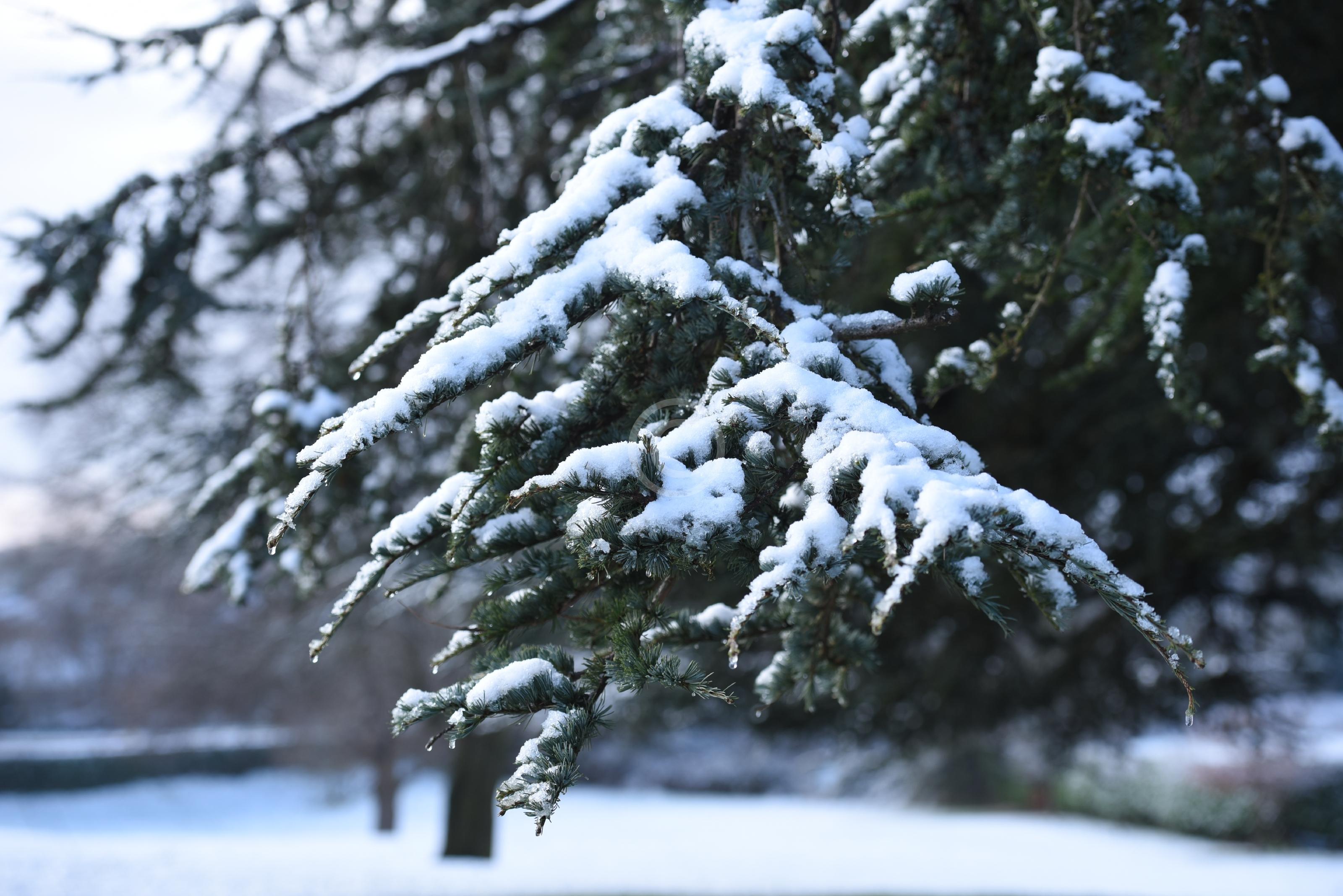 MAIDENHEAD 130851 - Photo 1 of 11 - Baylis Media Photos