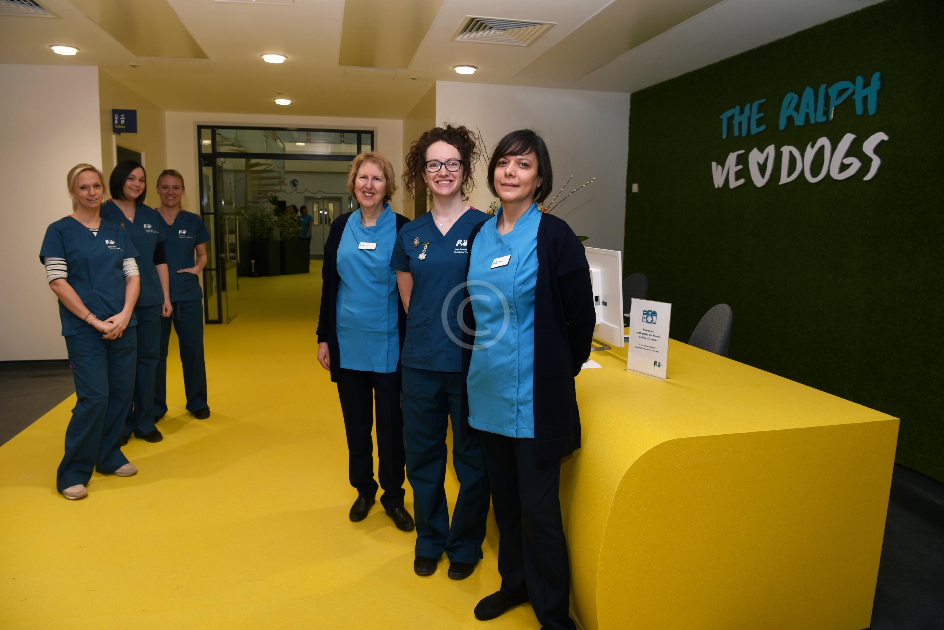 MARLOW 130863 - Photo 1 of 16 - Baylis Media Photos