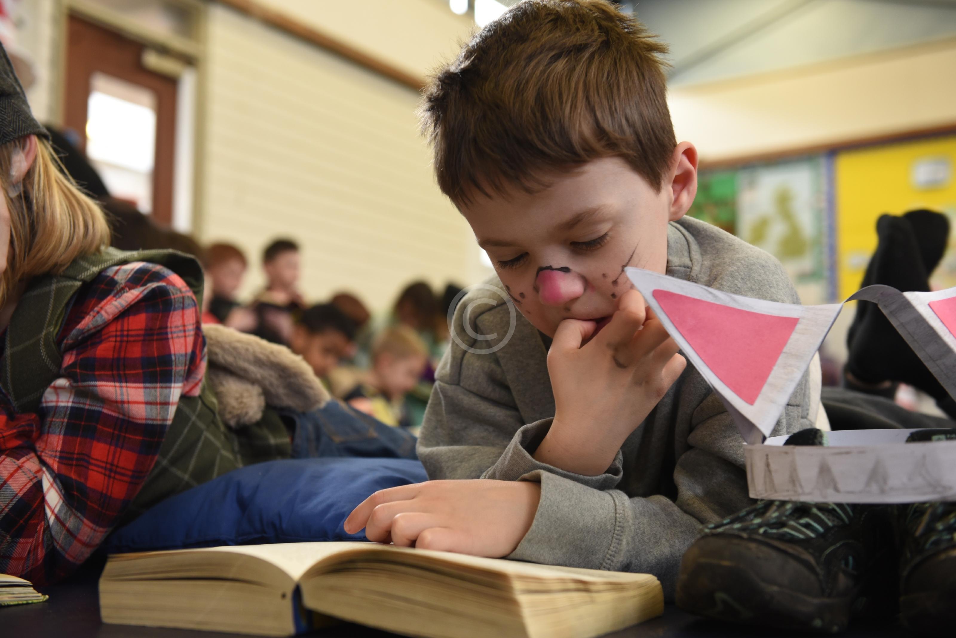 WINDSOR 131021 - Photo 1 of 34 - Baylis Media Photos