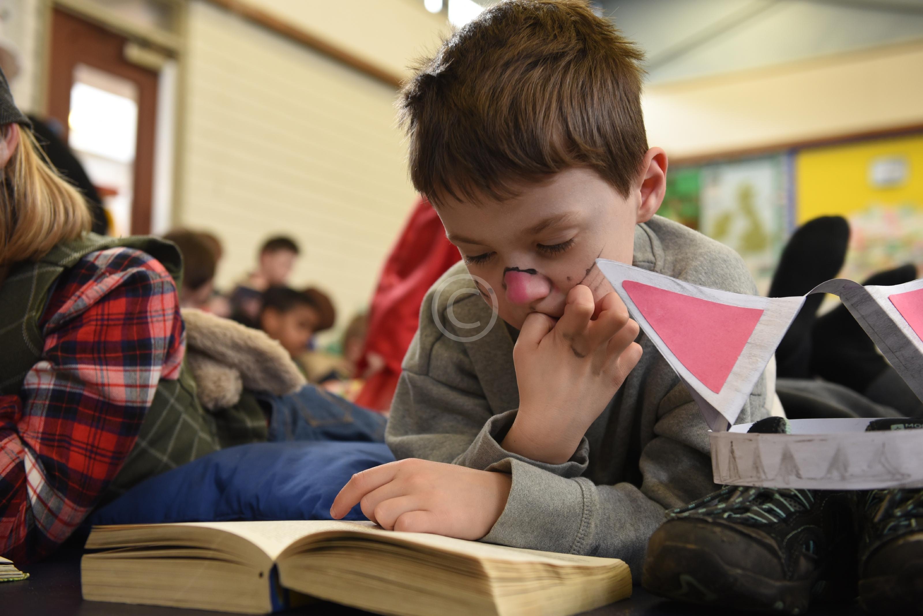 WINDSOR 131021 - Photo 1 of 34 - Baylis Media Photos