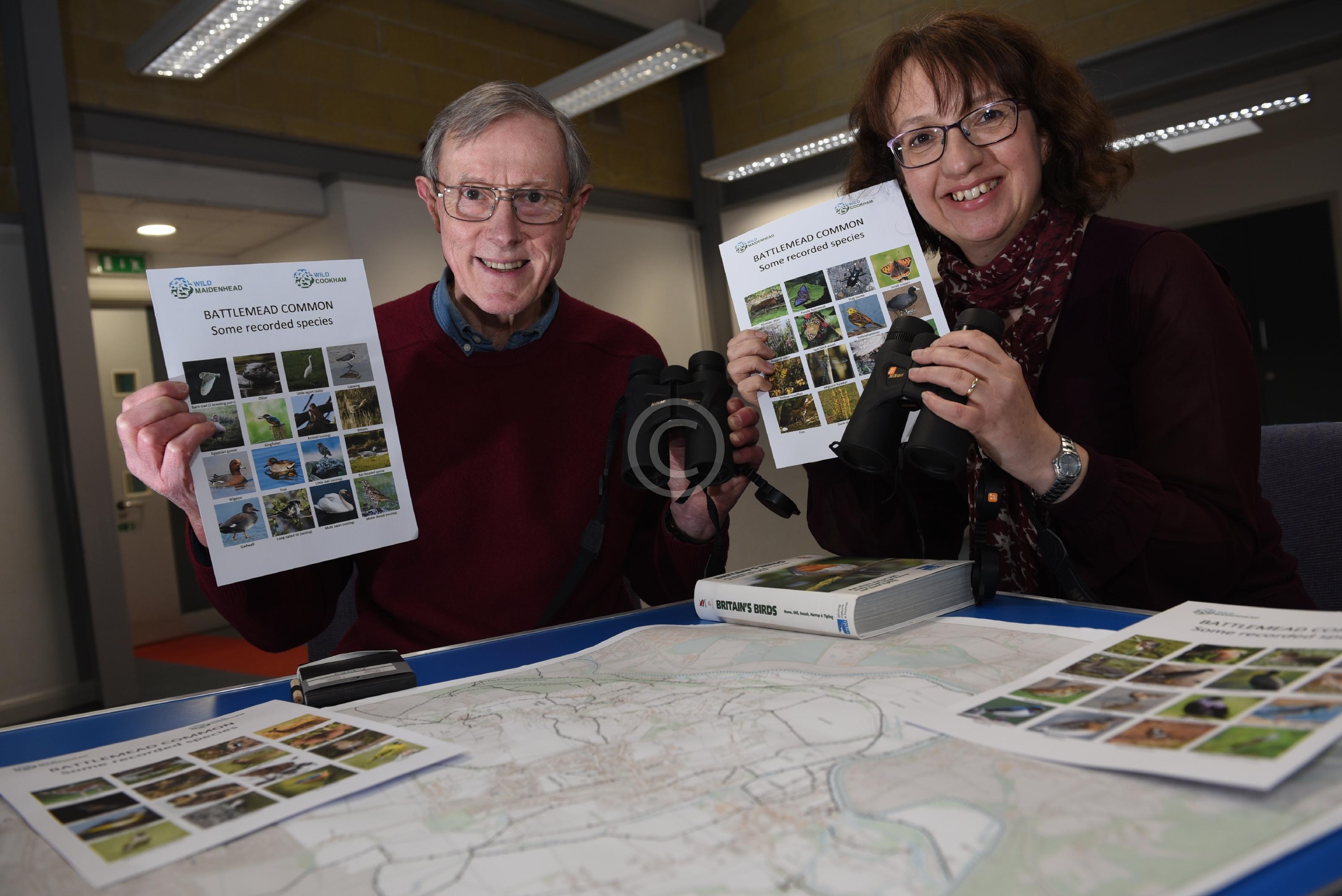 COOKHAM 131041 - Photo 1 of 8 - Baylis Media Photos