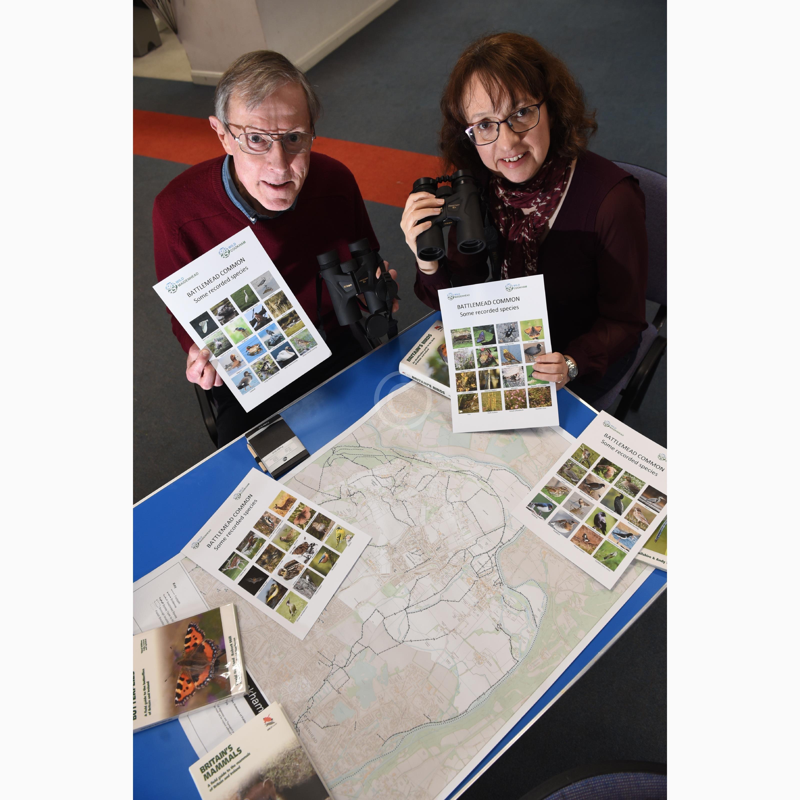 COOKHAM 131041 - Photo 1 of 8 - Baylis Media Photos