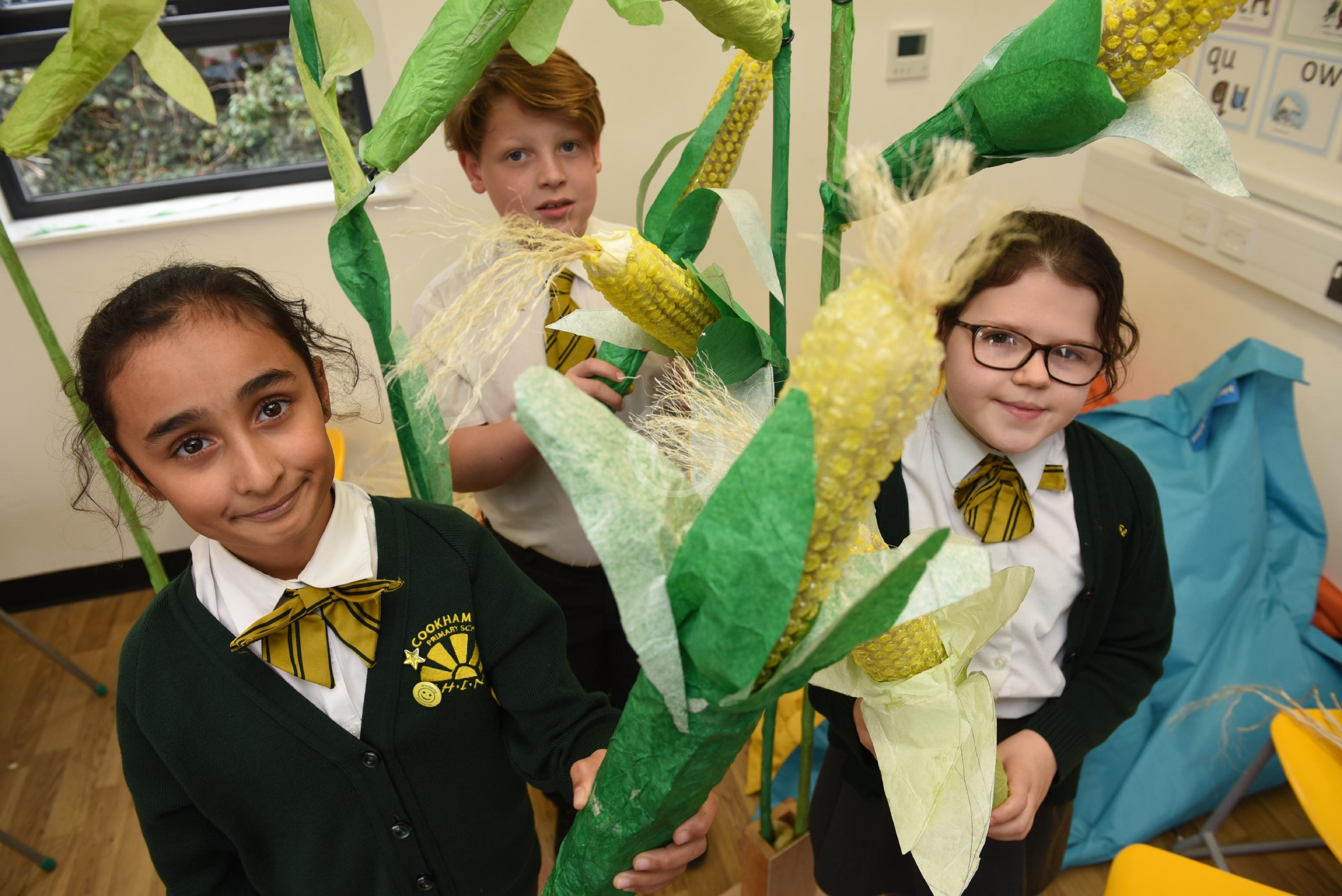 COOKHAM 131110 - Photo 1 of 4 - Baylis Media Photos