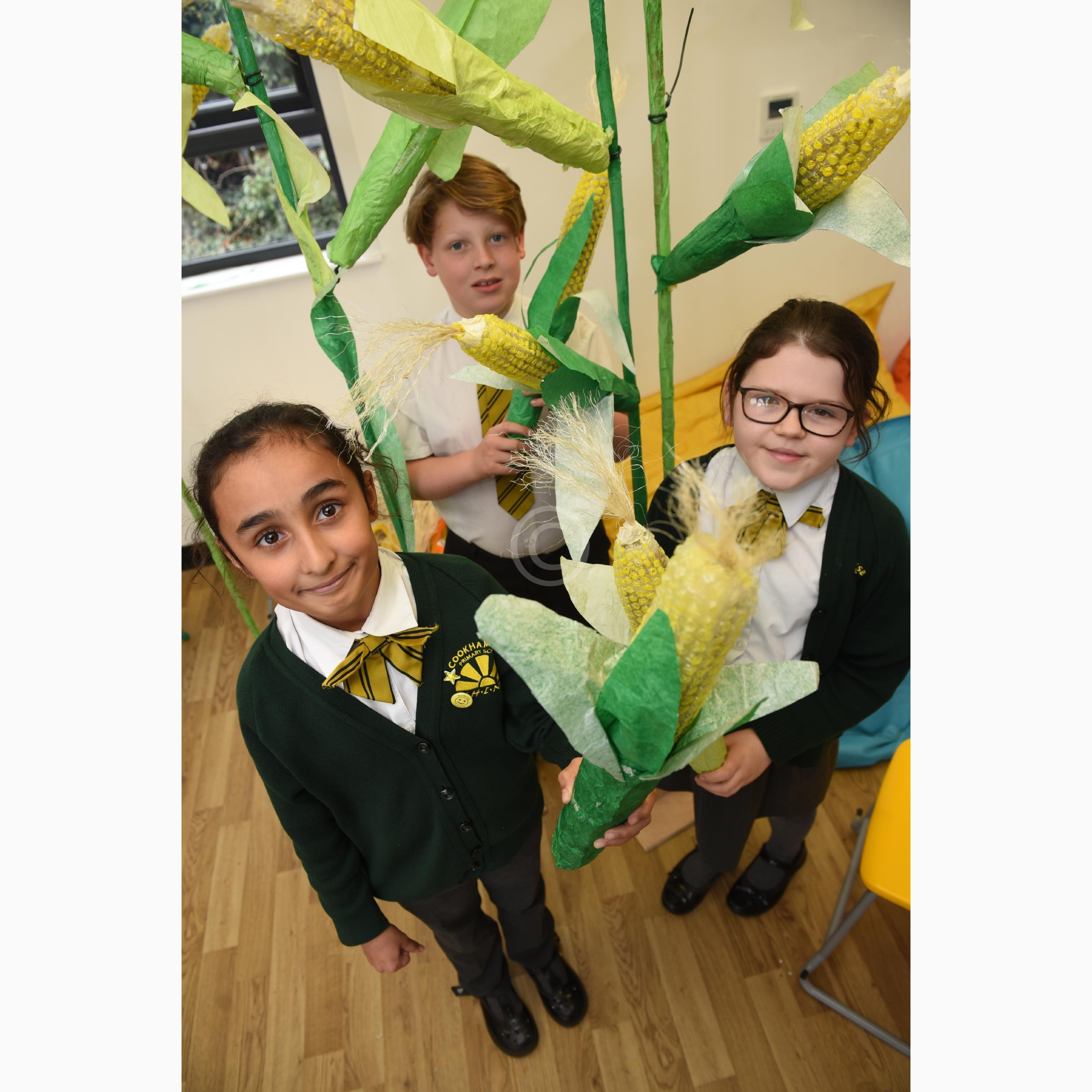 COOKHAM 131110 - Photo 1 of 4 - Baylis Media Photos